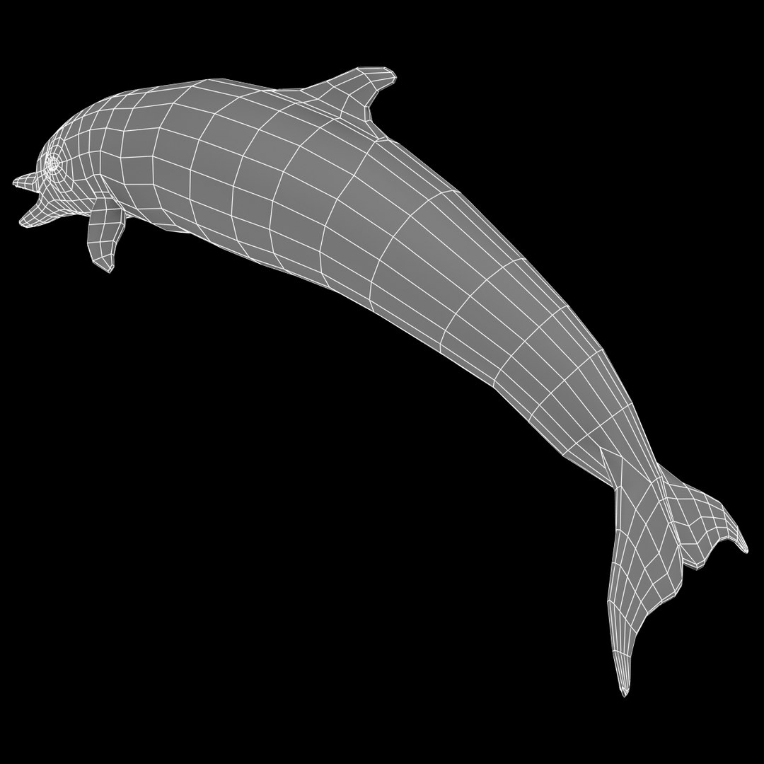 Realistic Dolphin Pose 2 3d Model
