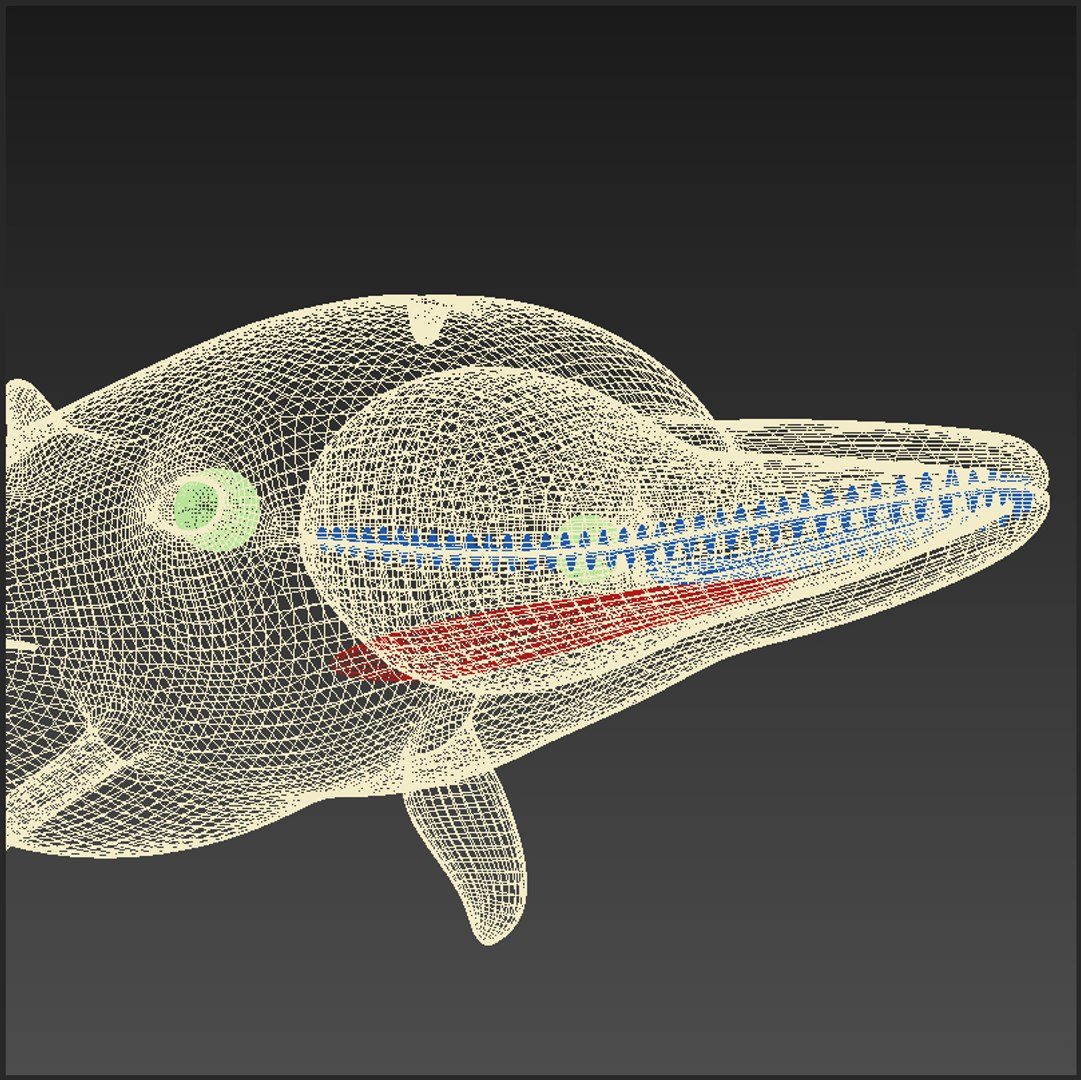 Realistic Dolphin Pose 2 3d Model