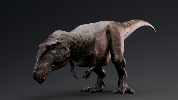 Giganotosaurus Real Dinosaur Series3Dモデル - TurboSquid 1943876