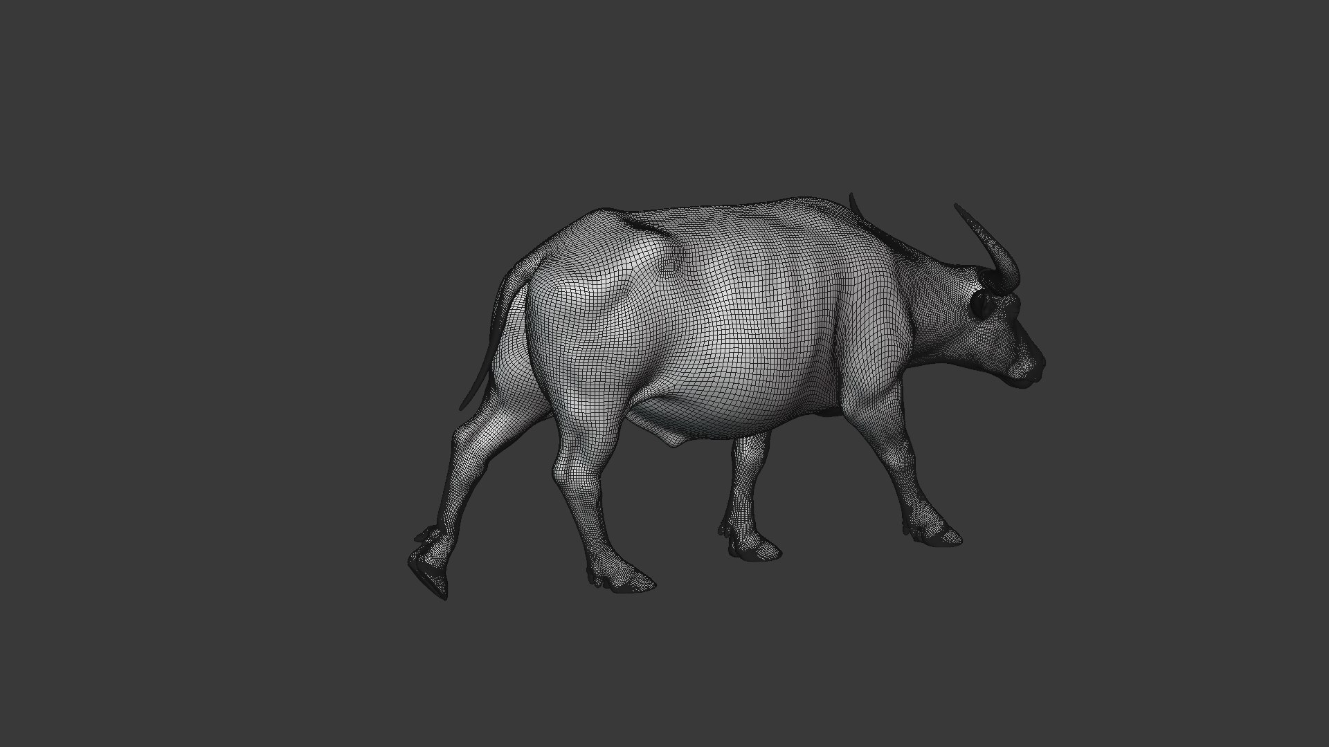 3D Asian Buffalo Animation - TurboSquid 1566102