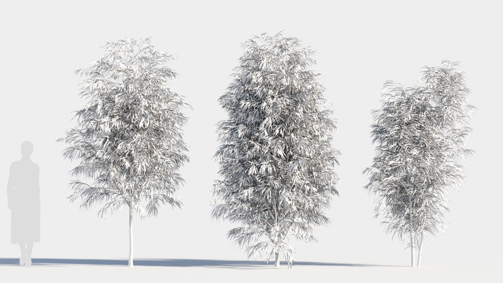 Burgundy Myrtle tree c 3D model - TurboSquid 2130724