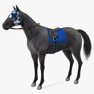 3D Horse Racing Models - Browse & Download Formats - TurboSquid