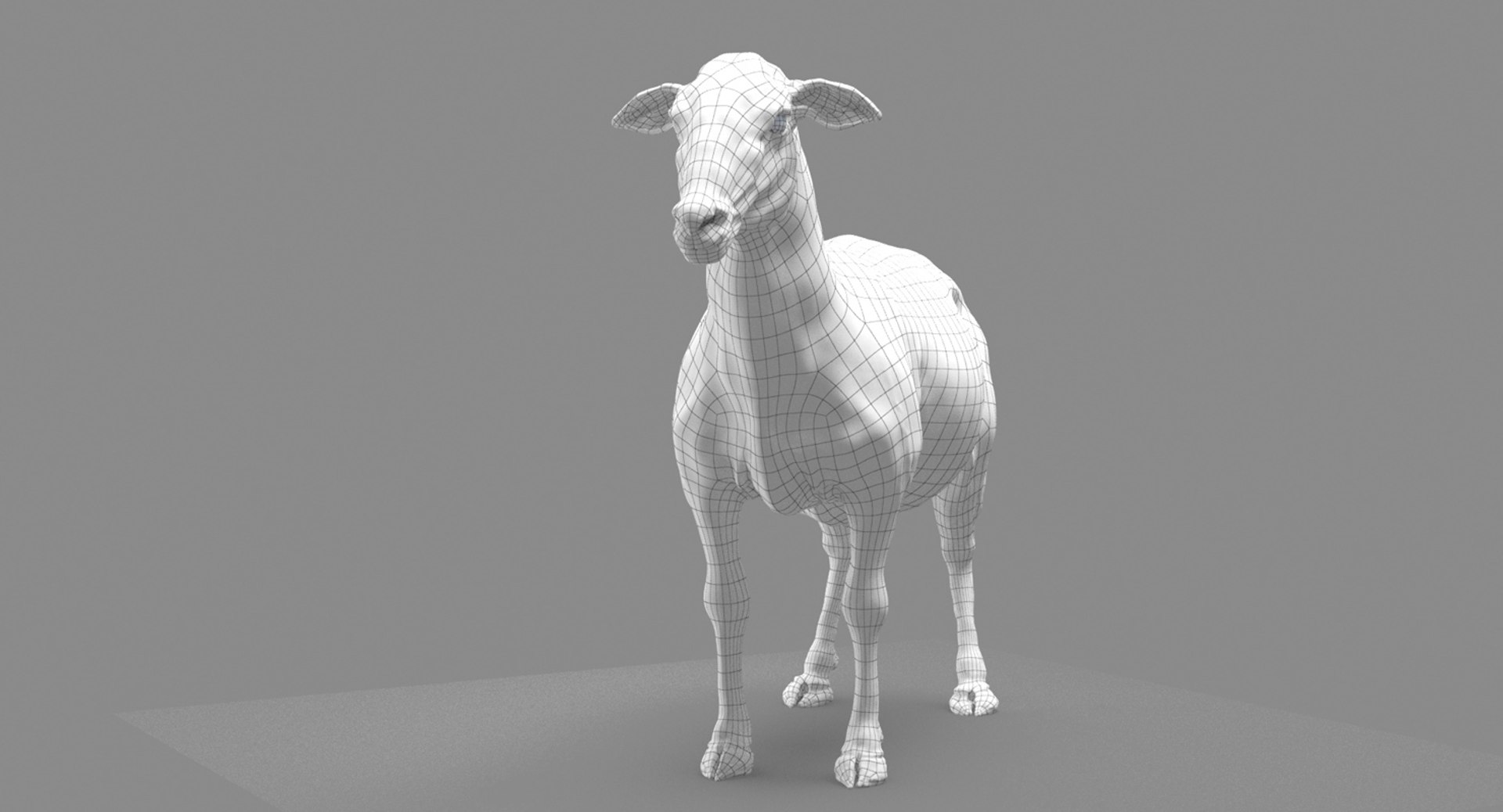 3d Sheep