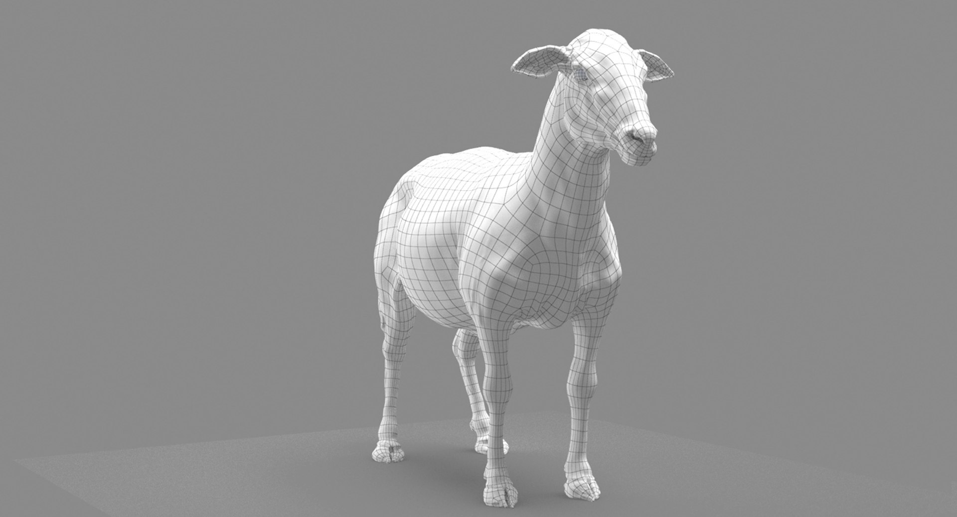 3d Sheep