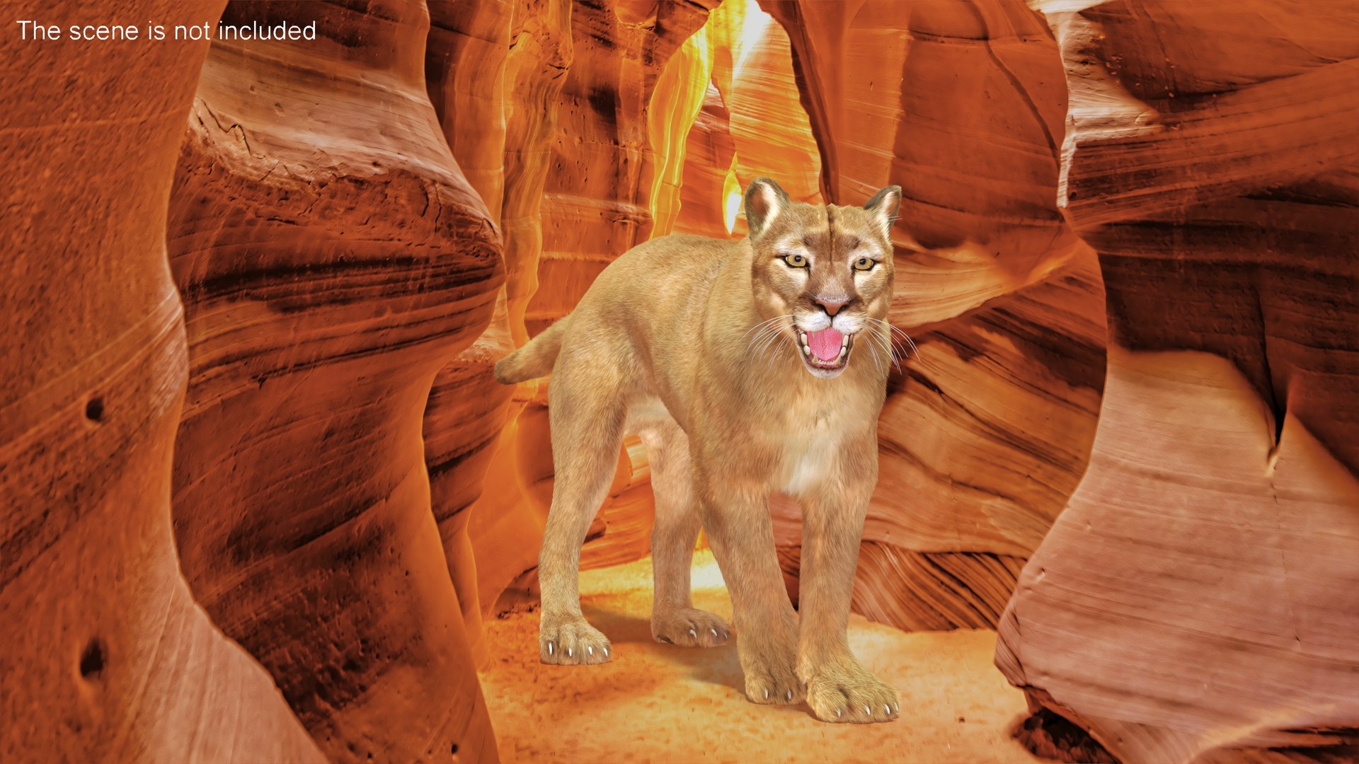 Snarling Puma Fur 3D - TurboSquid 2238919