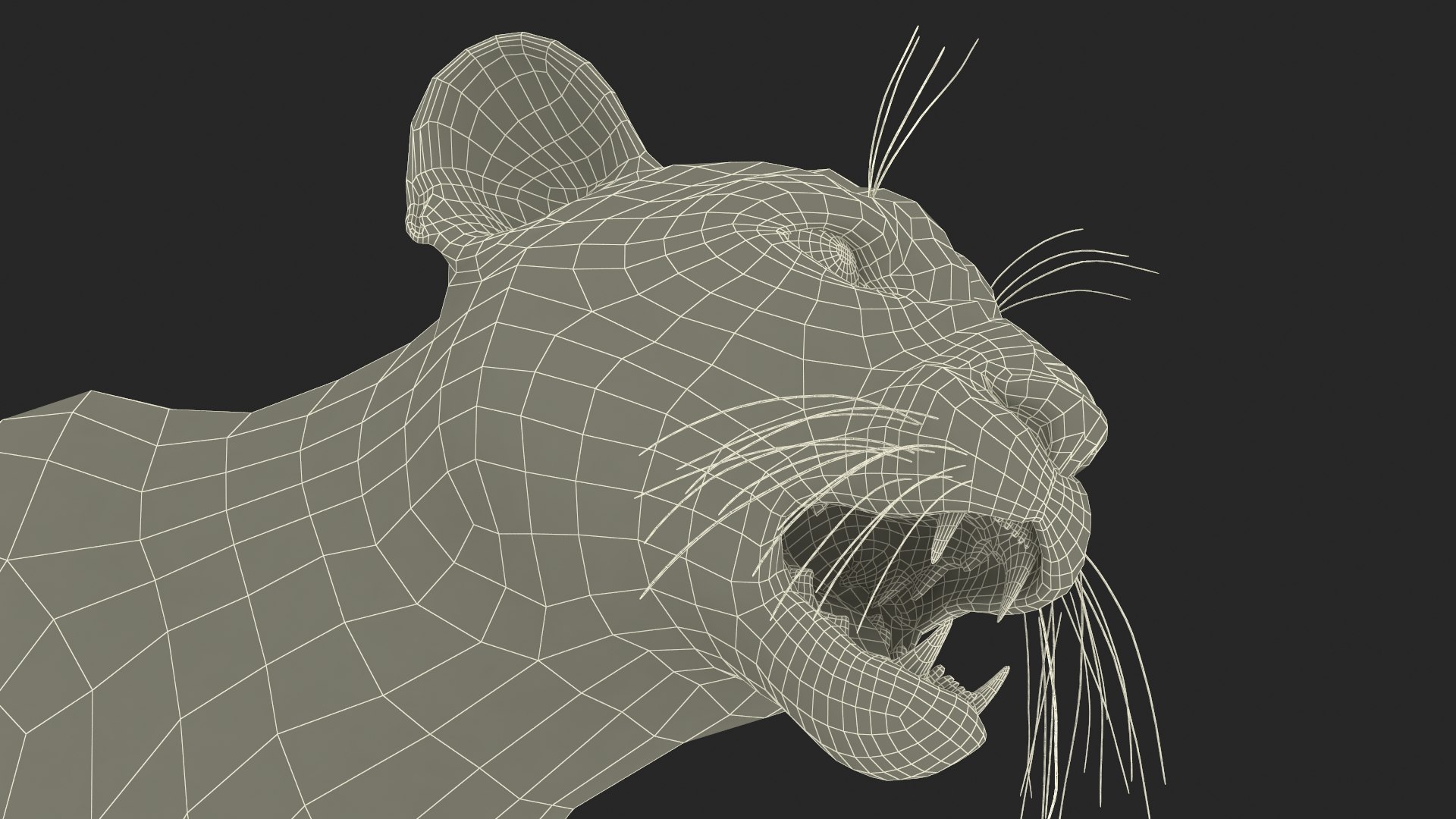 Snarling Puma Fur 3D - TurboSquid 2238919