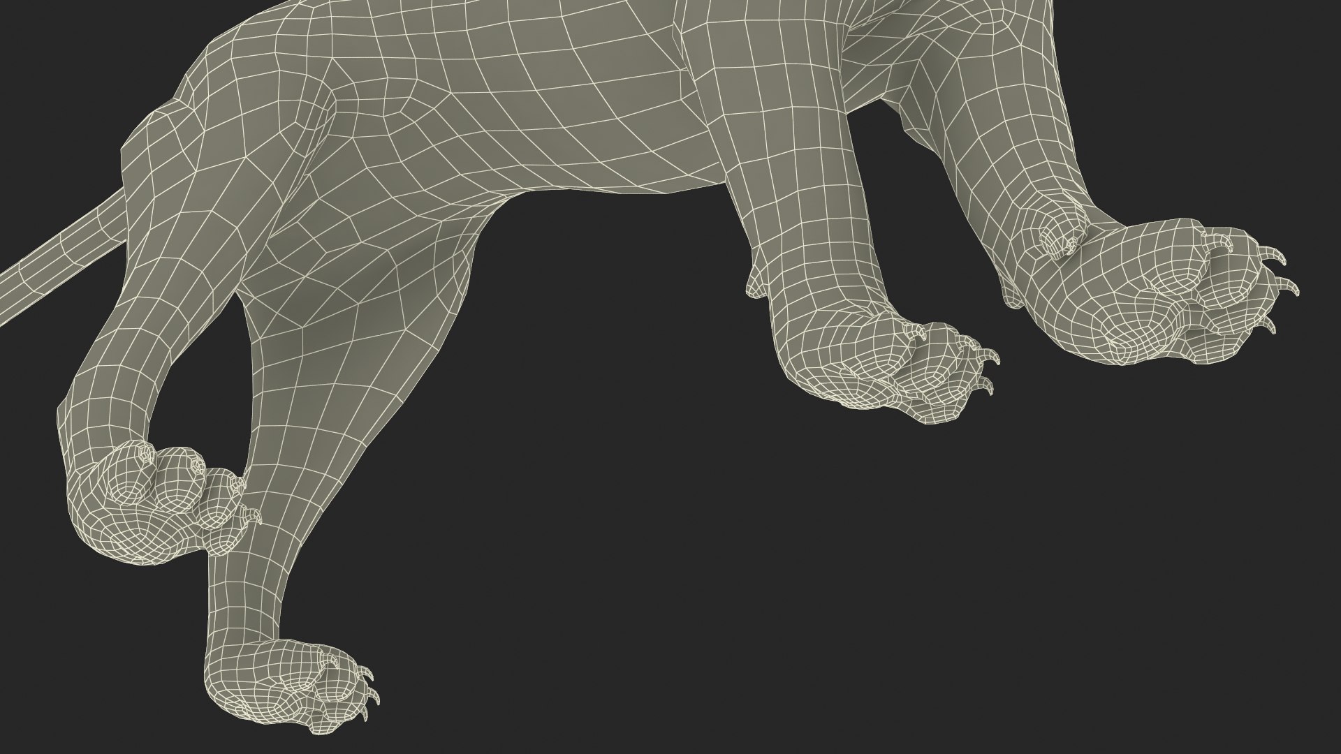 Snarling Puma Fur 3D - TurboSquid 2238919