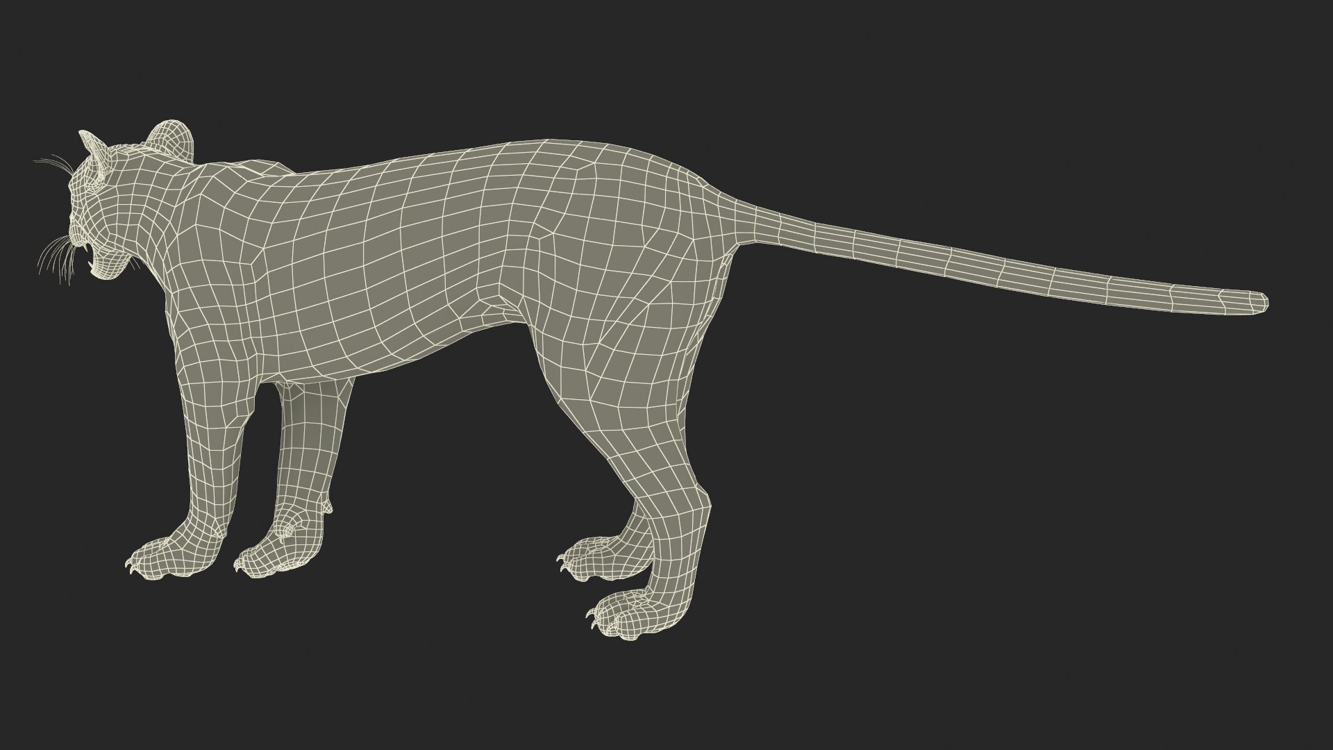 Snarling Puma Fur 3D - TurboSquid 2238919