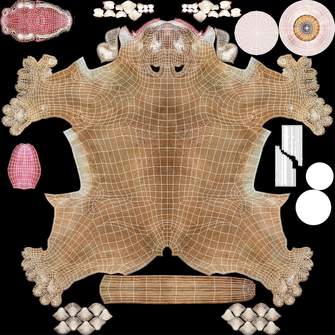 Snarling Puma Fur 3D - TurboSquid 2238919