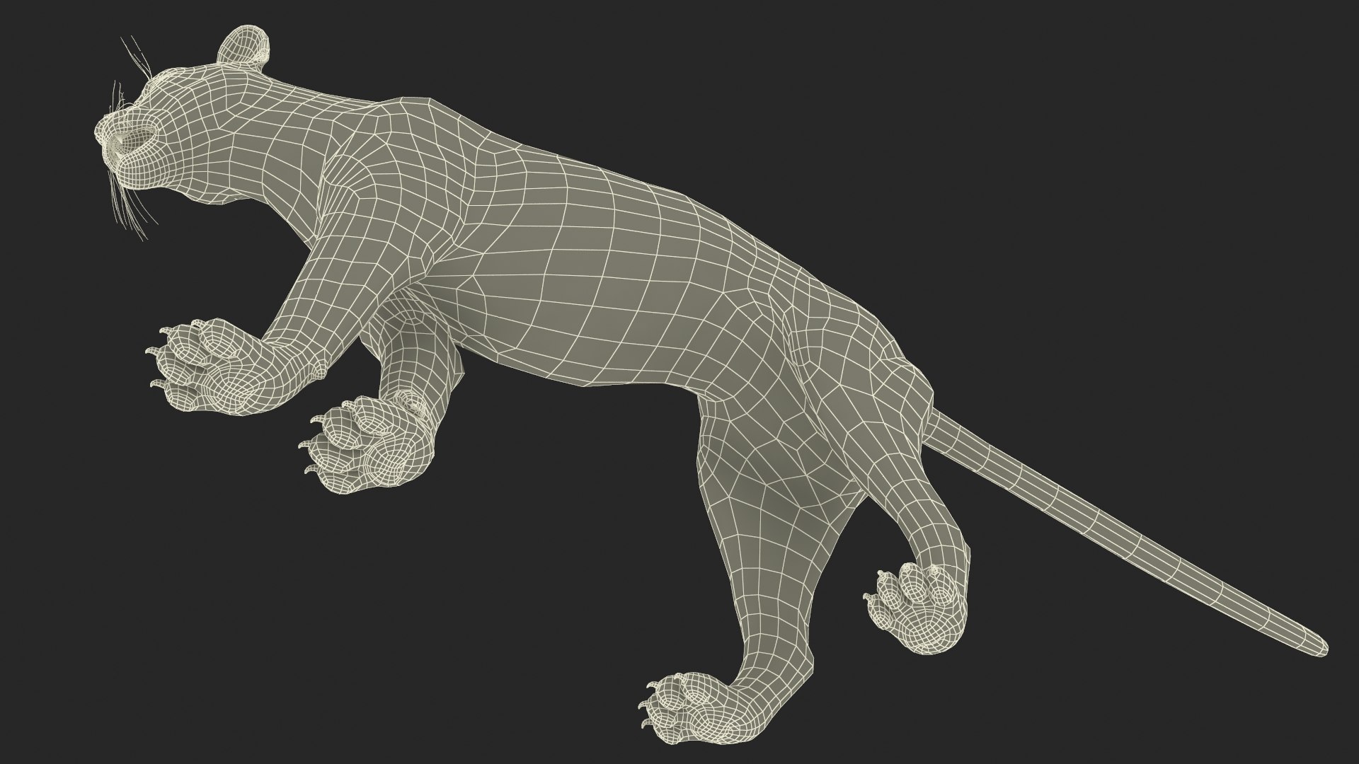 Snarling Puma Fur 3D - TurboSquid 2238919