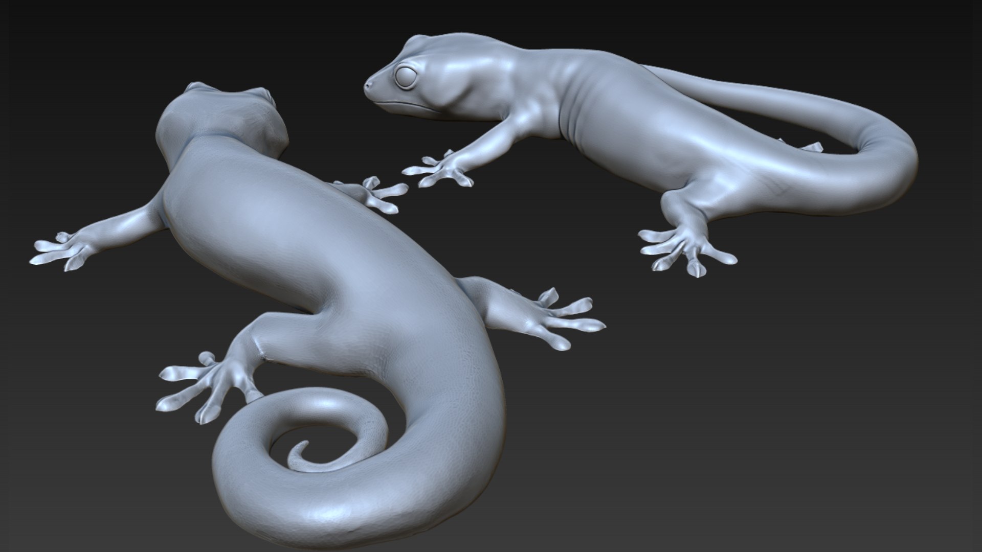3D Gecko - TurboSquid 2212020