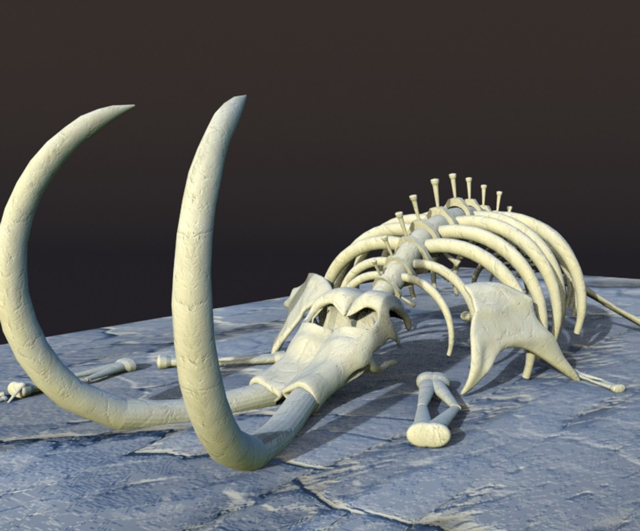 3D African Elephant Skeleton - TurboSquid 2346546