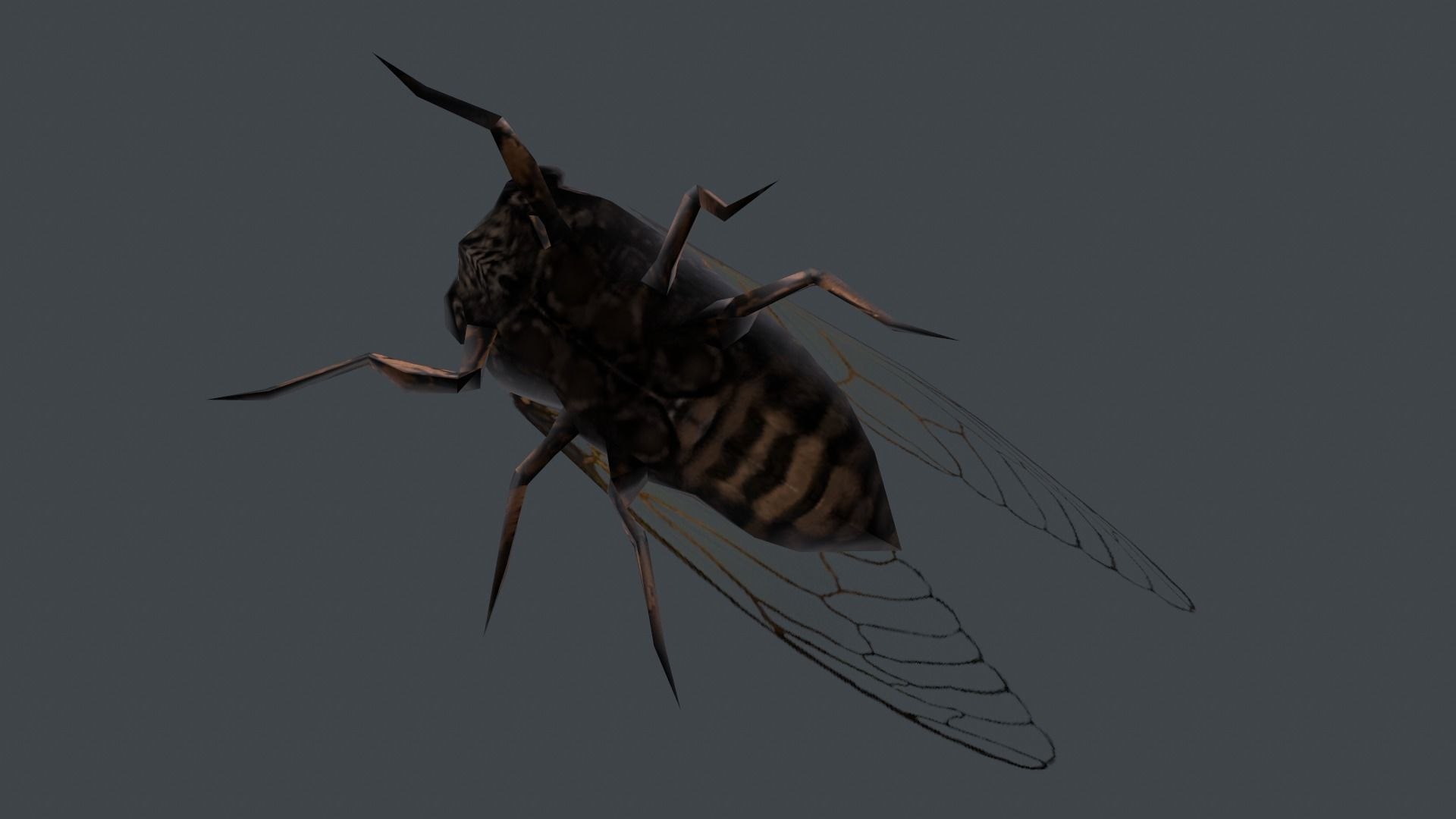 Animated Cicada 3D Model - TurboSquid 2155449