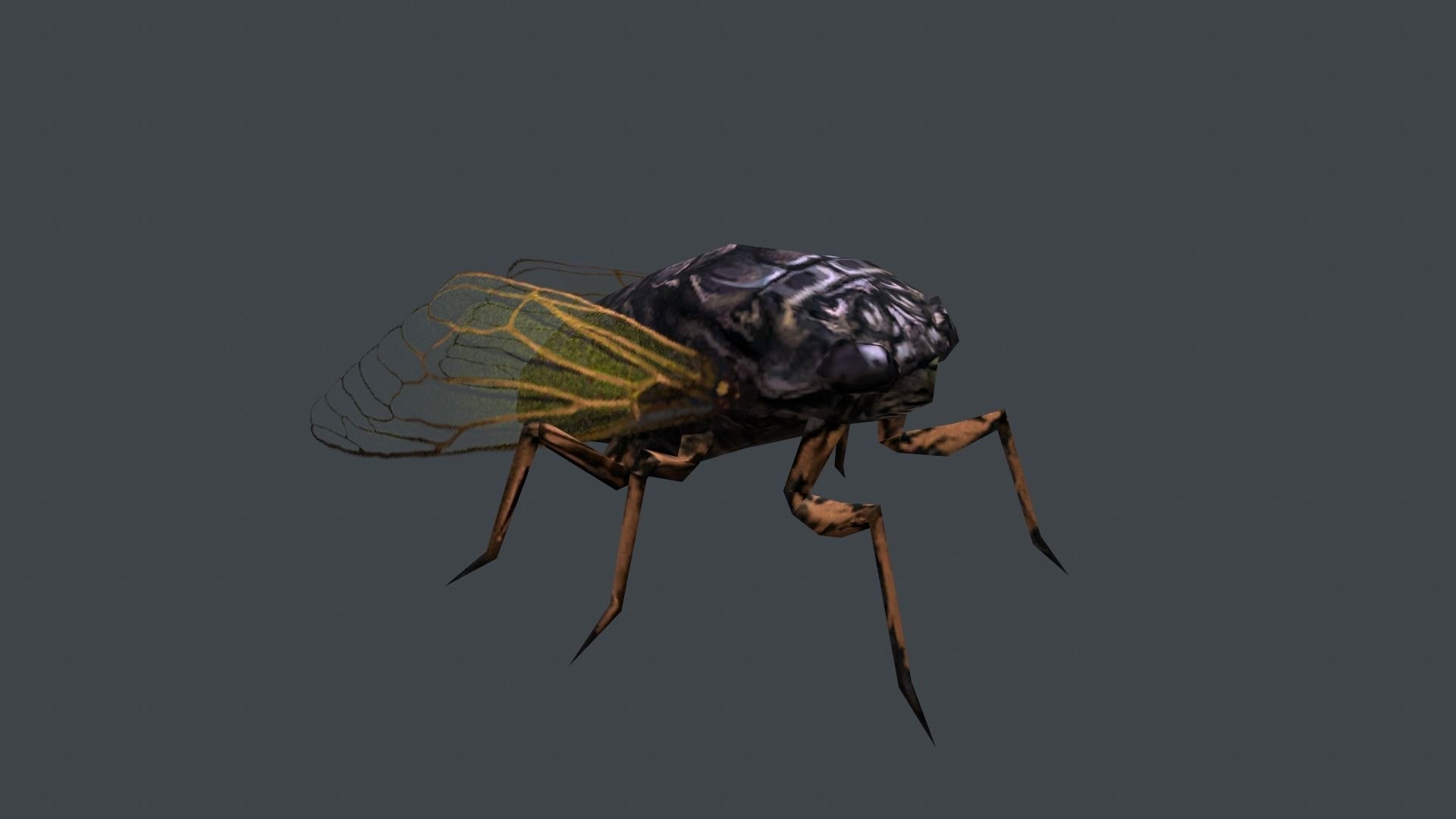 Animated Cicada 3D Model - TurboSquid 2155449