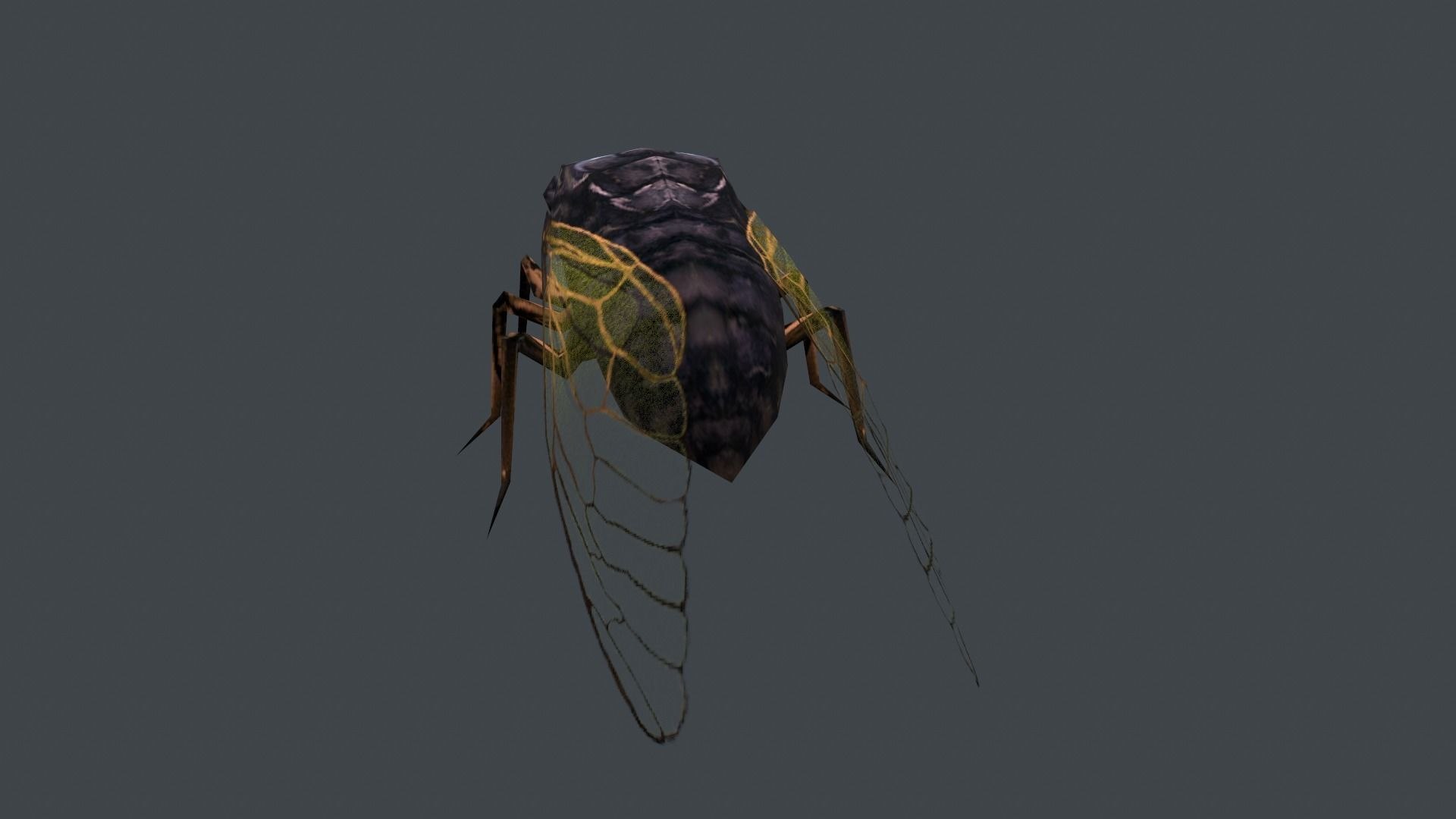 Animated Cicada 3D Model - TurboSquid 2155449