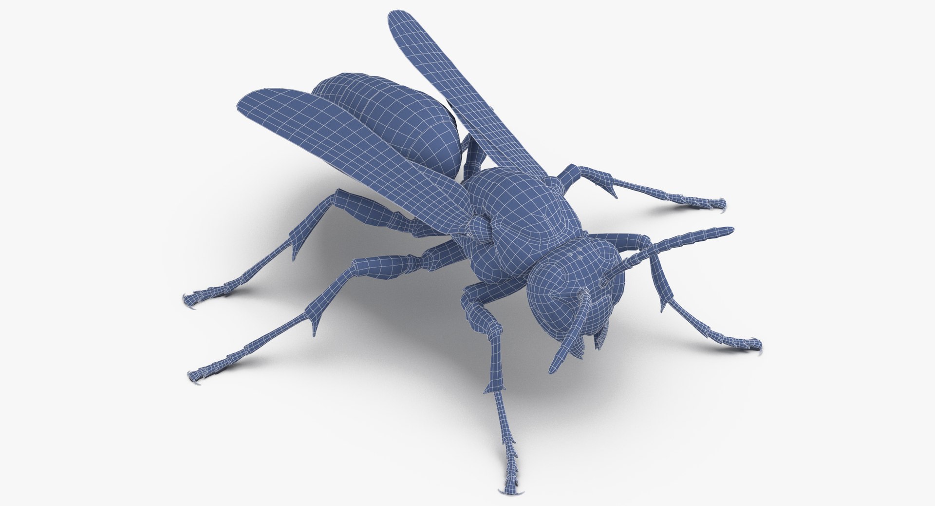 Paper Wasp Standing Model - TurboSquid 1367390