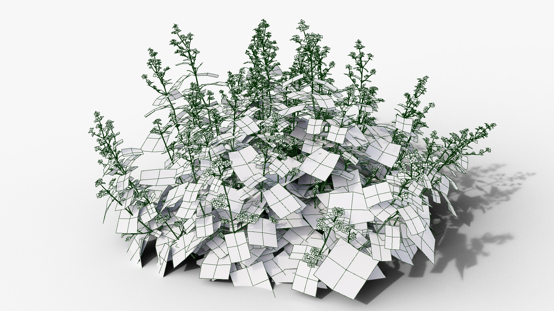 Brunnera Macrophylla Jack Frost 3D Model - TurboSquid 1986844
