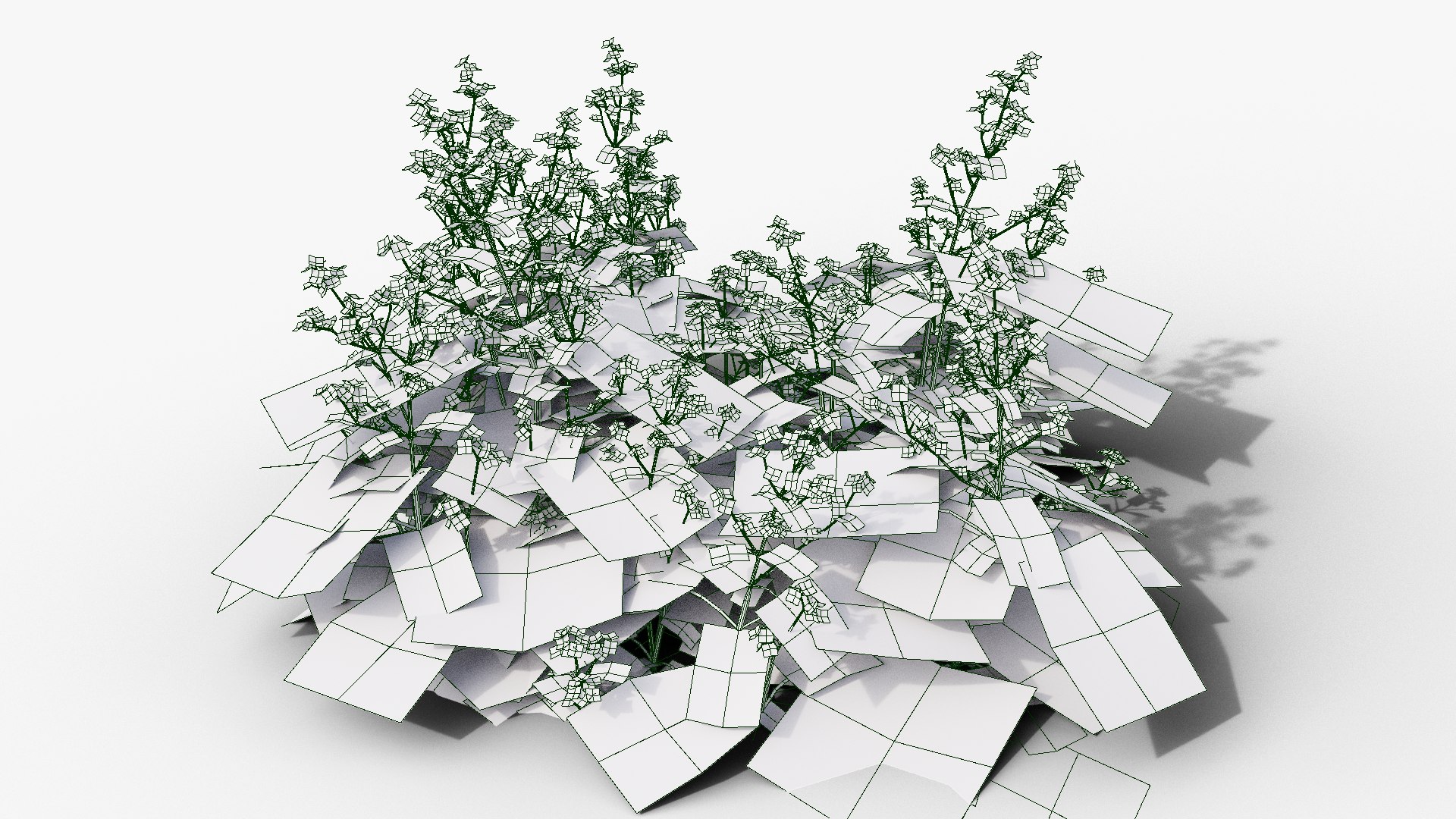Brunnera Macrophylla Jack Frost 3D Model - TurboSquid 1986844
