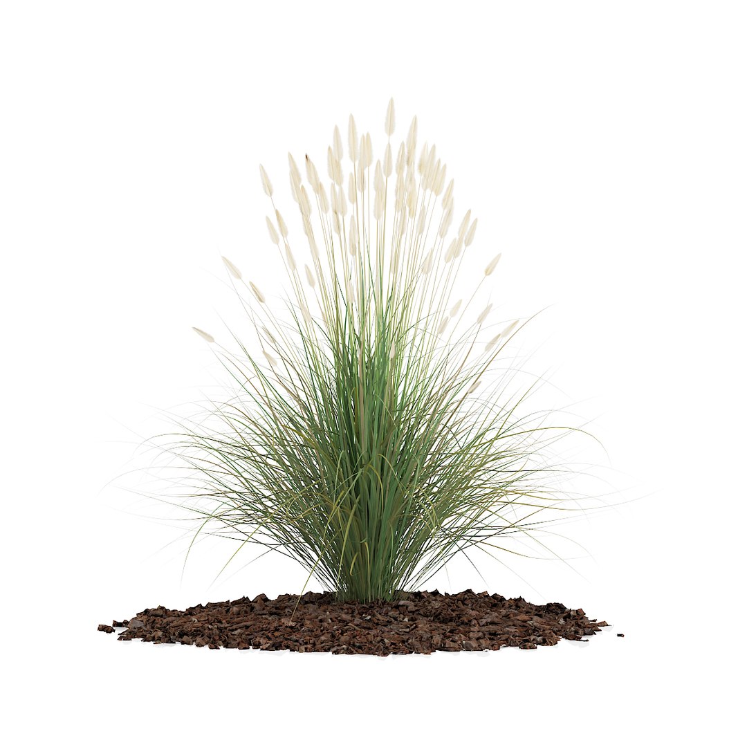 Ornamental Grass Obj