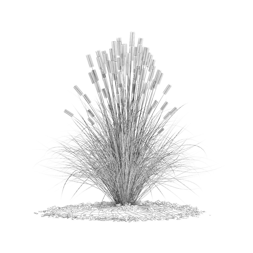 Ornamental Grass Obj