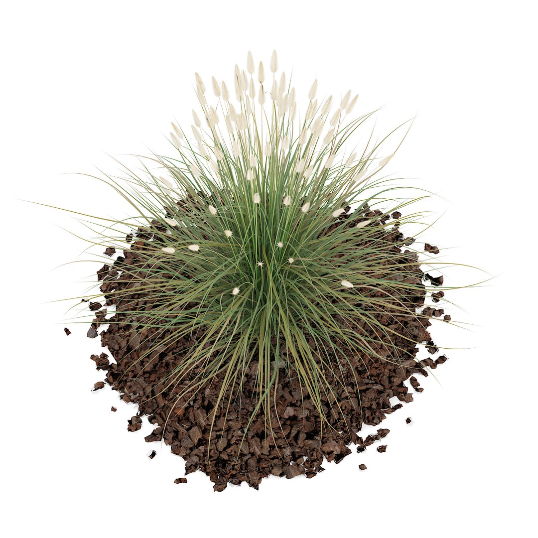 Ornamental Grass Obj