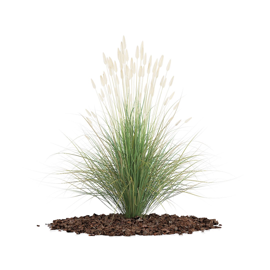 Ornamental Grass Obj