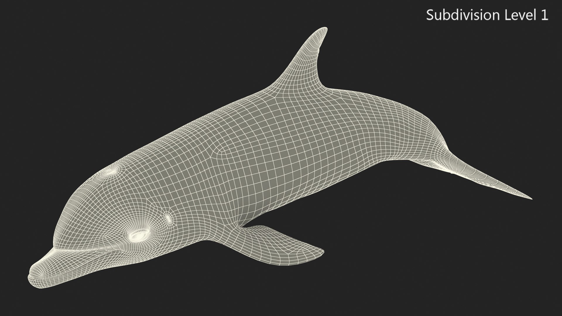 Dolphin Swimming Animated 3D model - TurboSquid 2054522