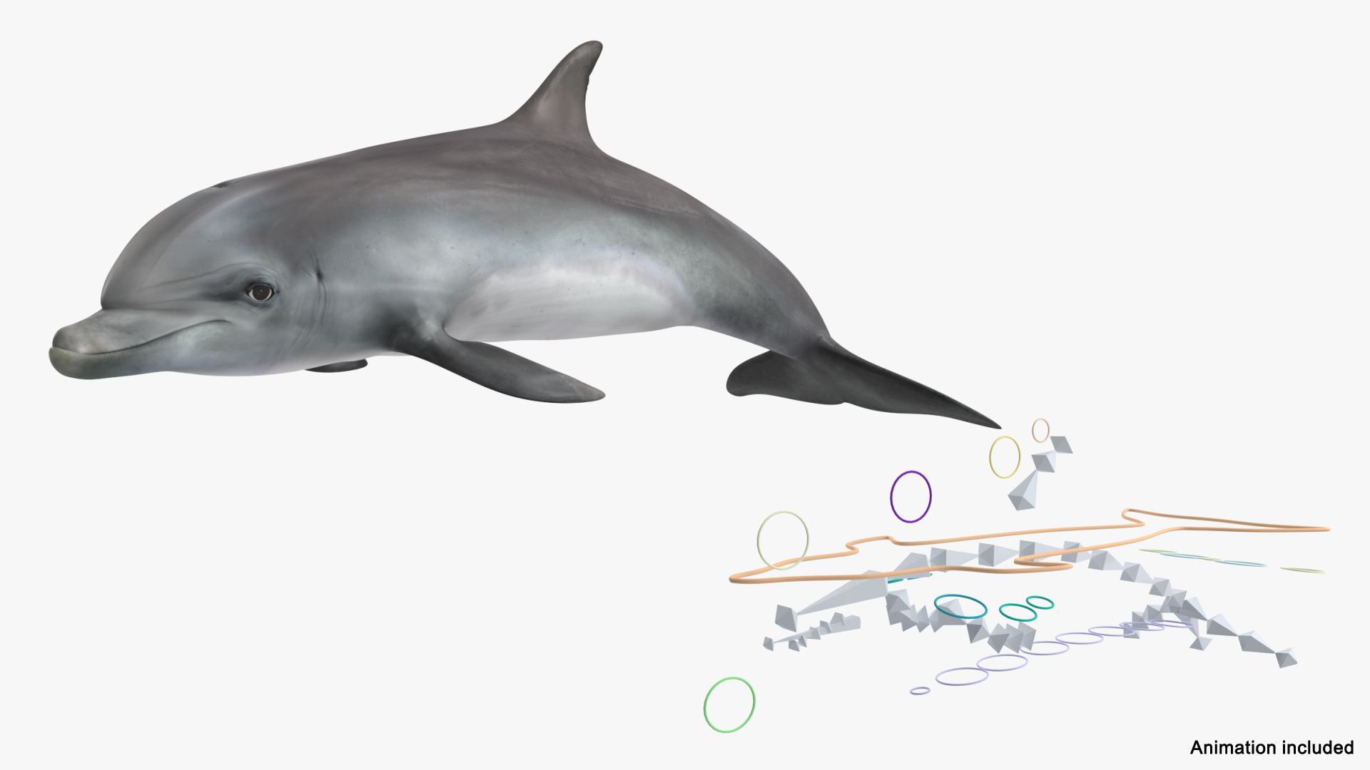 Dolphin Swimming Animated 3D model - TurboSquid 2054522