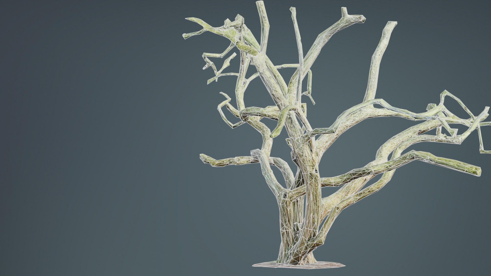 3D Big Tree Trunk Remastered - TurboSquid 2363176