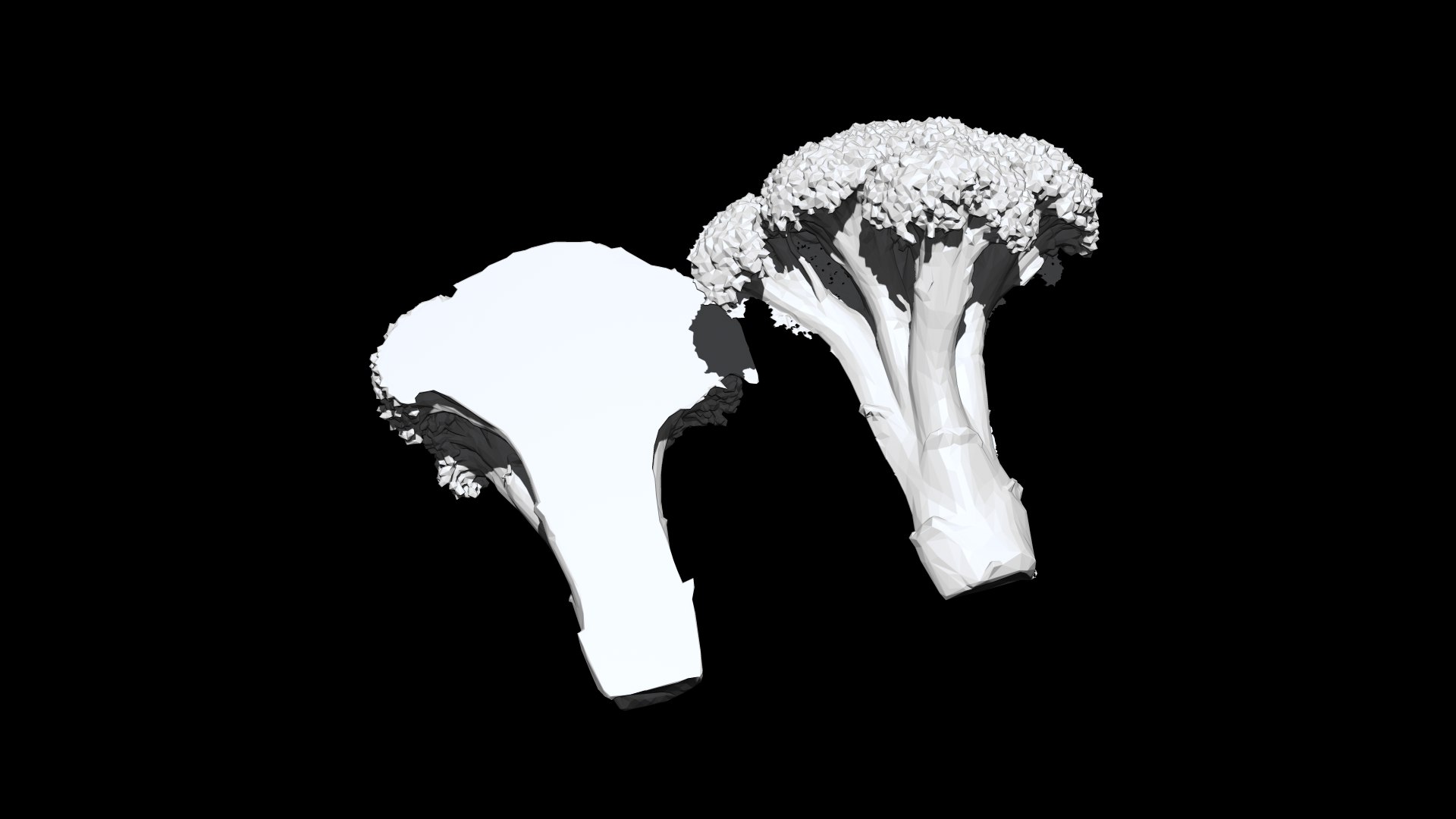 3D Broccoli Cut 3D CT Scan Model 3 Decimate 5percent Model - TurboSquid ...