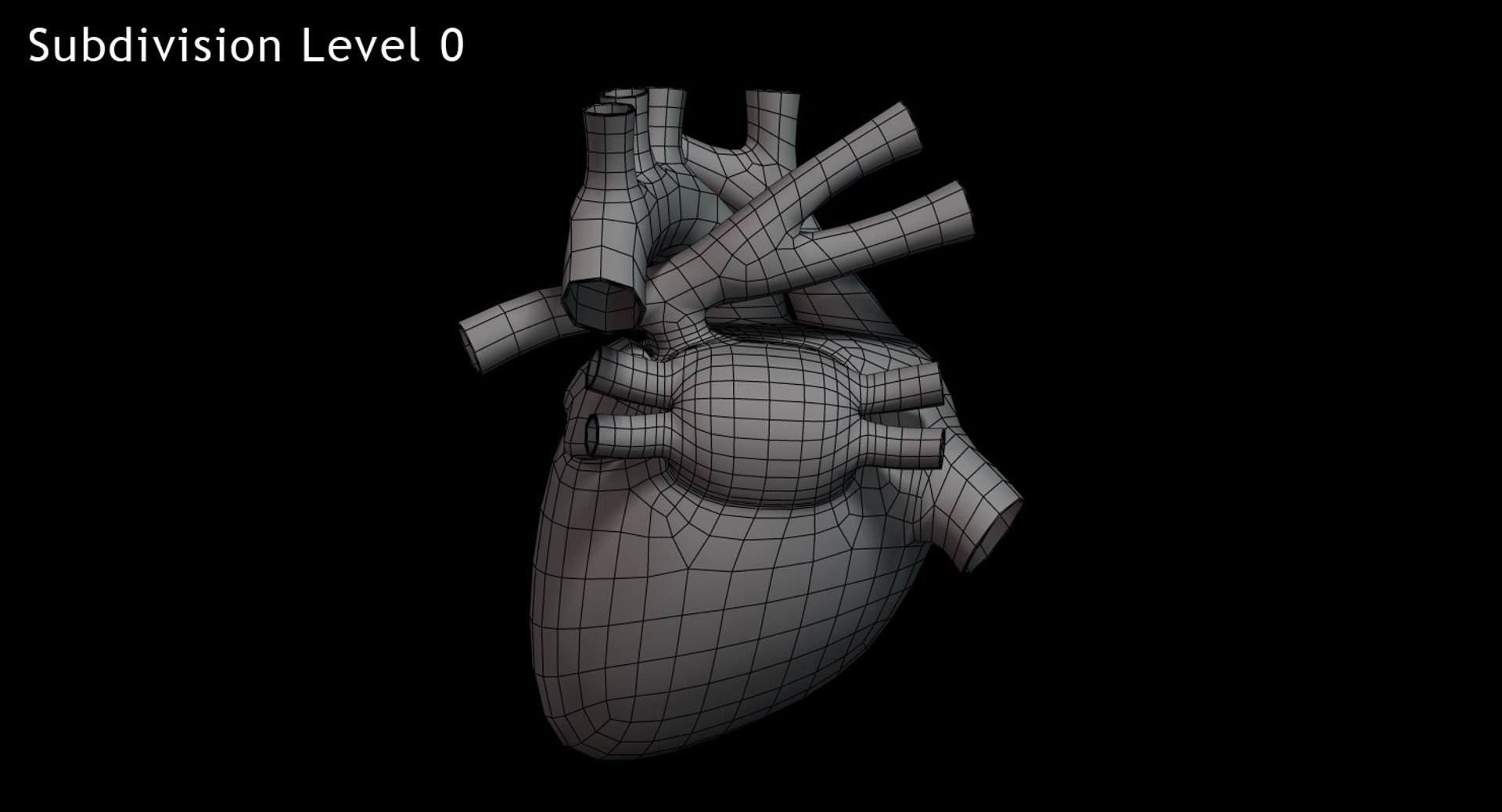 Human Heart Rigged 3d Max