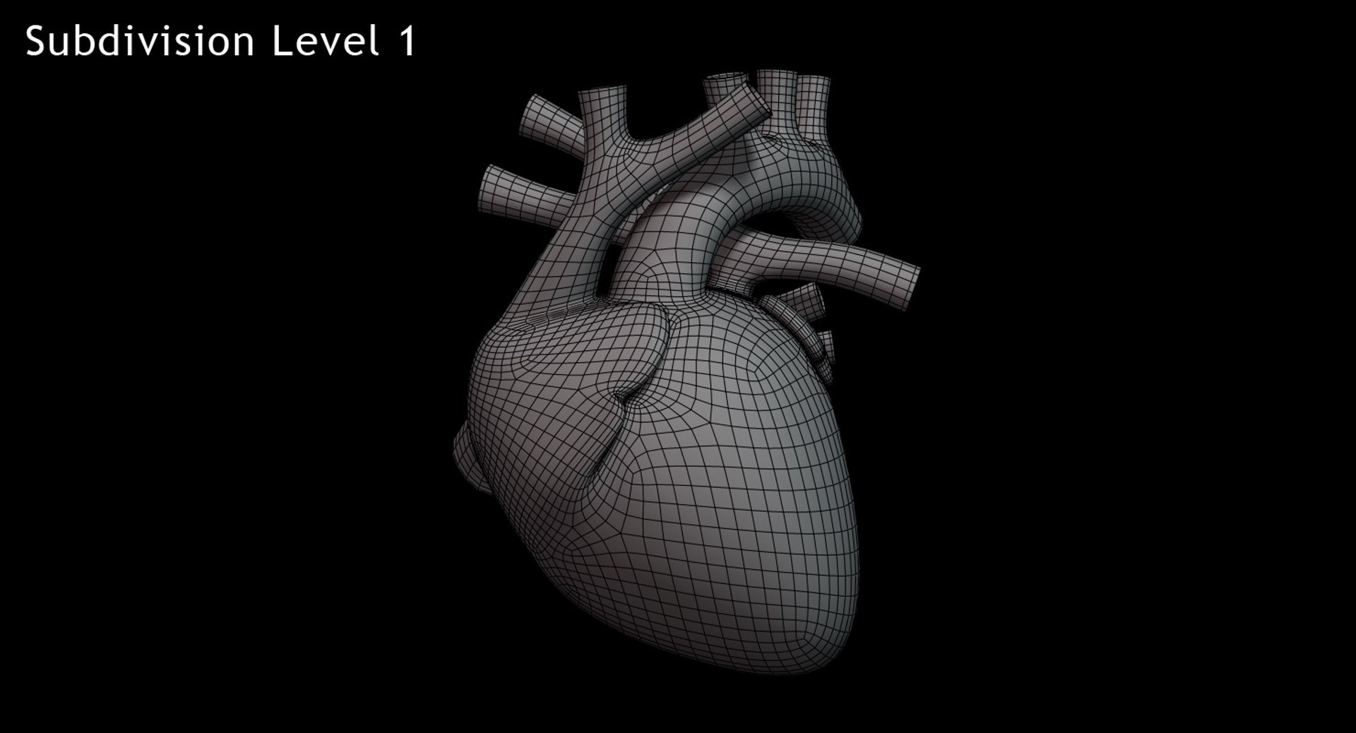 Human Heart Rigged 3d Max