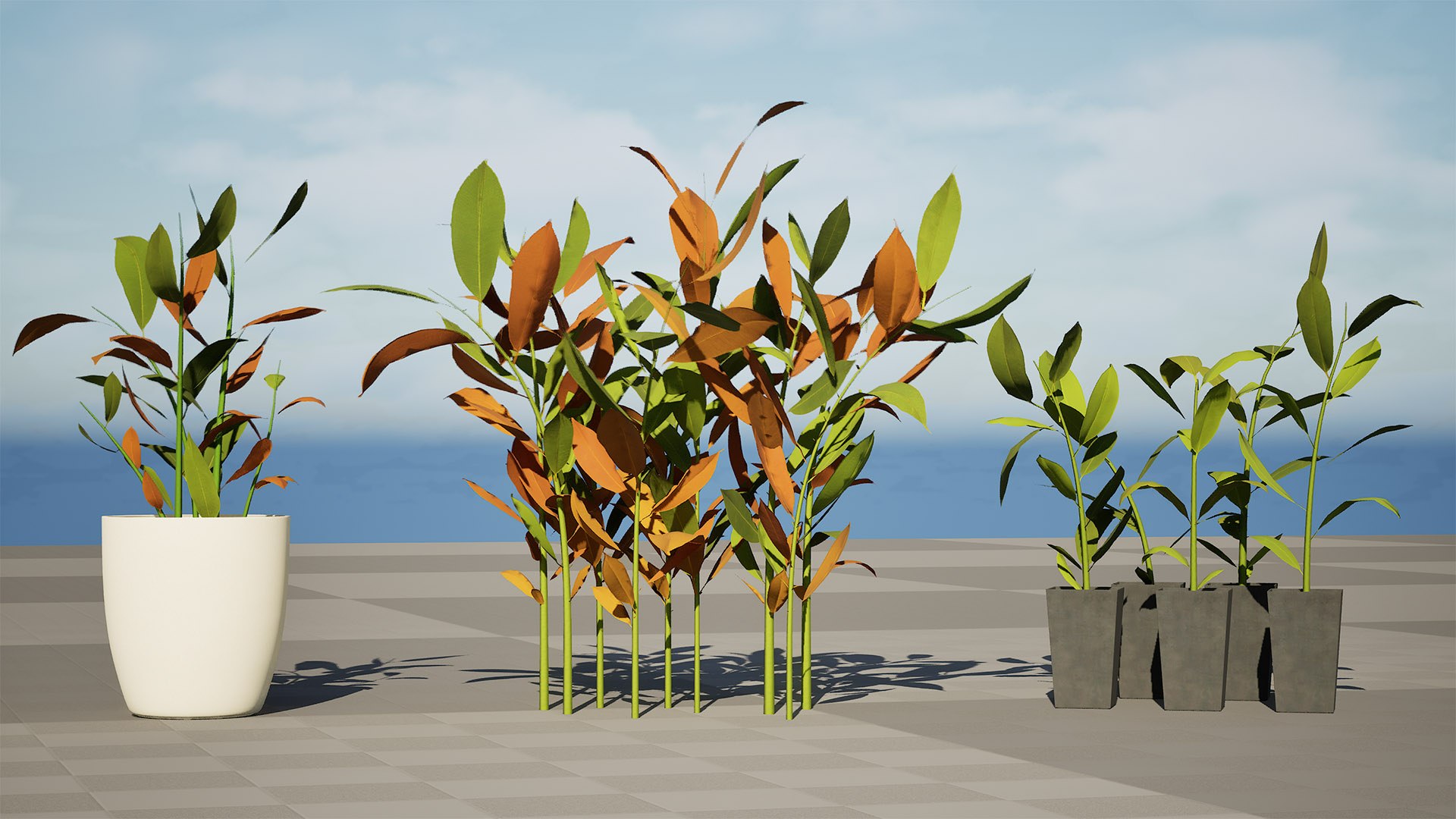 Australian Ginger 3D Model 3D Model - TurboSquid 2370639