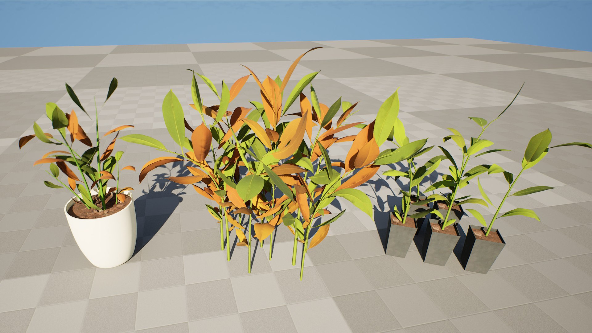 Australian Ginger 3D Model 3D Model - TurboSquid 2370639