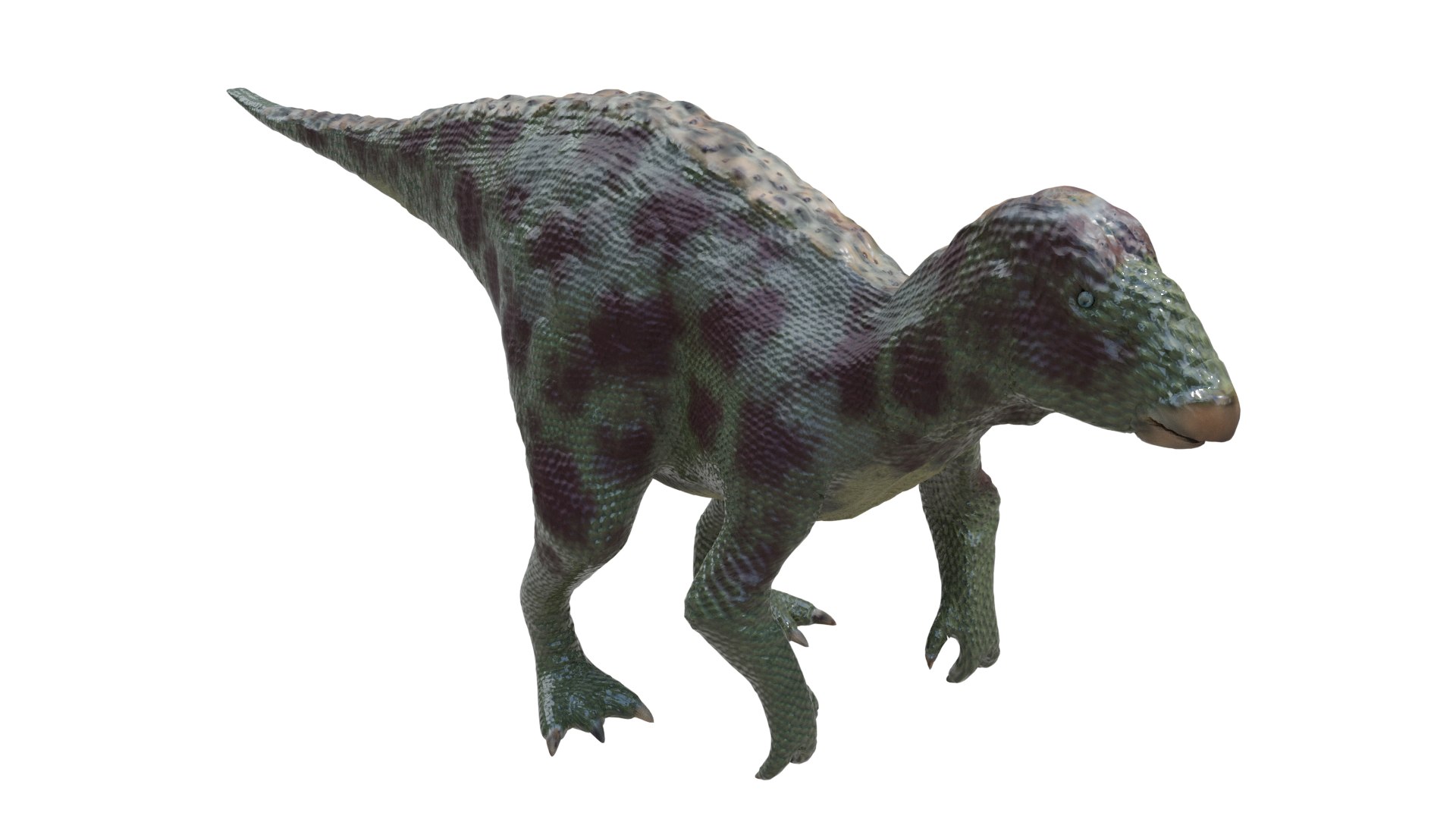 Iguanodon Model - TurboSquid 1986125
