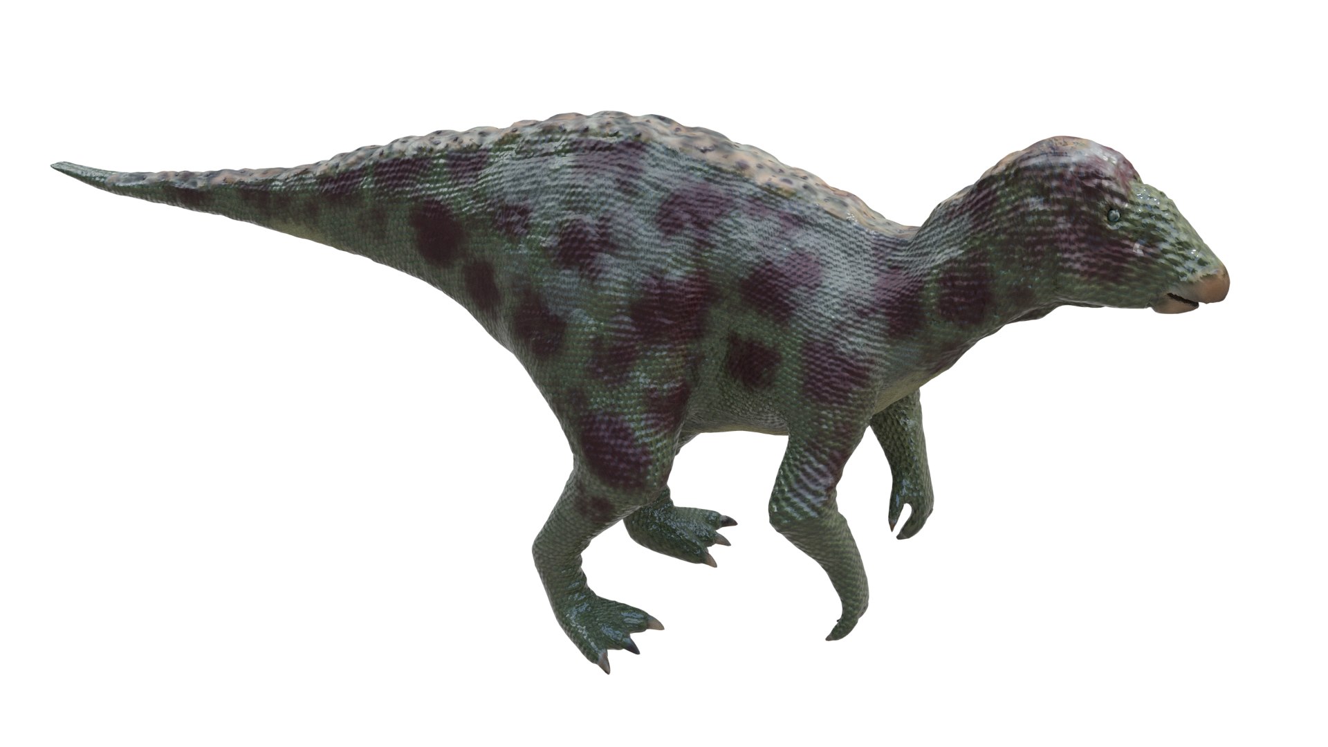 Iguanodon Model - TurboSquid 1986125