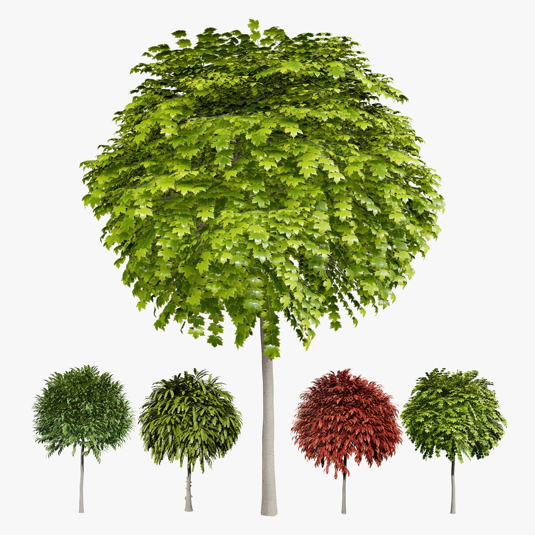 3D Model Realistic Mop Top Trees - TurboSquid 2275555