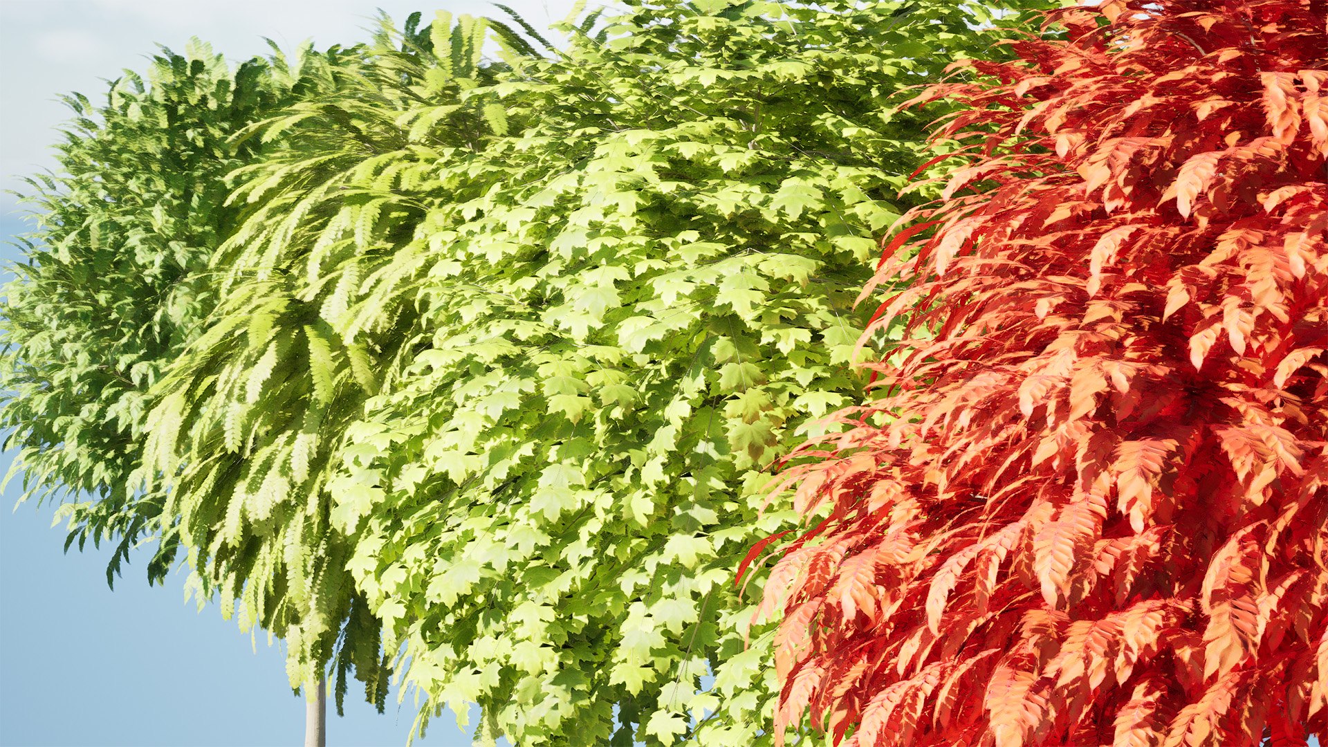 3D Model Realistic Mop Top Trees - TurboSquid 2275555