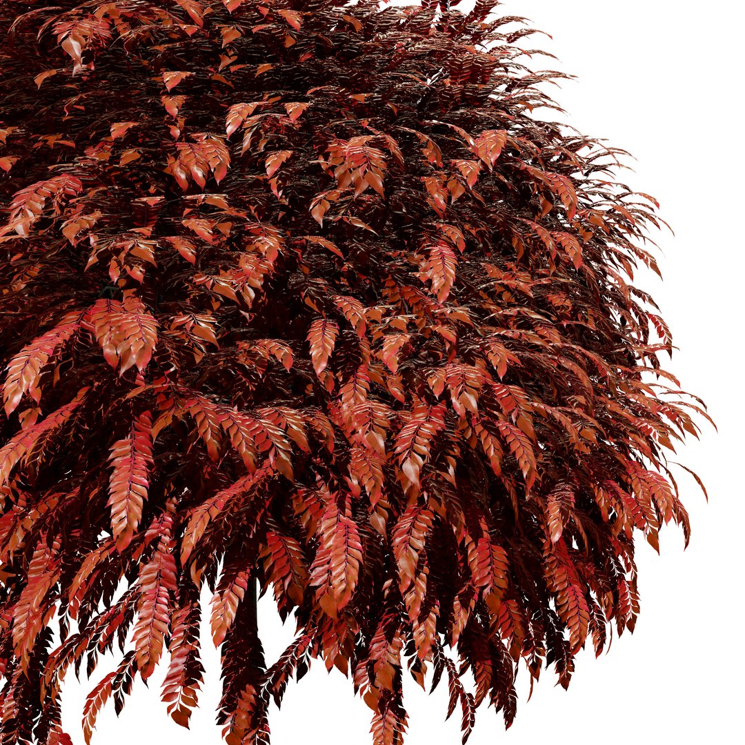 3D Model Realistic Mop Top Trees - TurboSquid 2275555