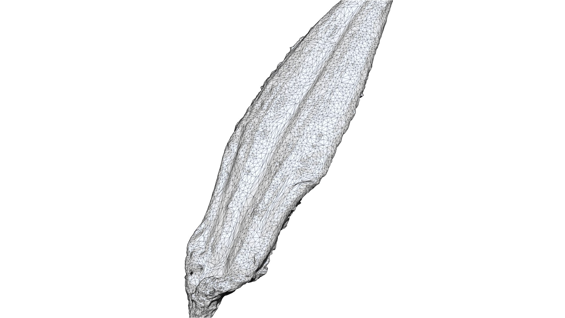 3D Grilled Eel 3D CT scan model decimate 8 percent model - TurboSquid ...