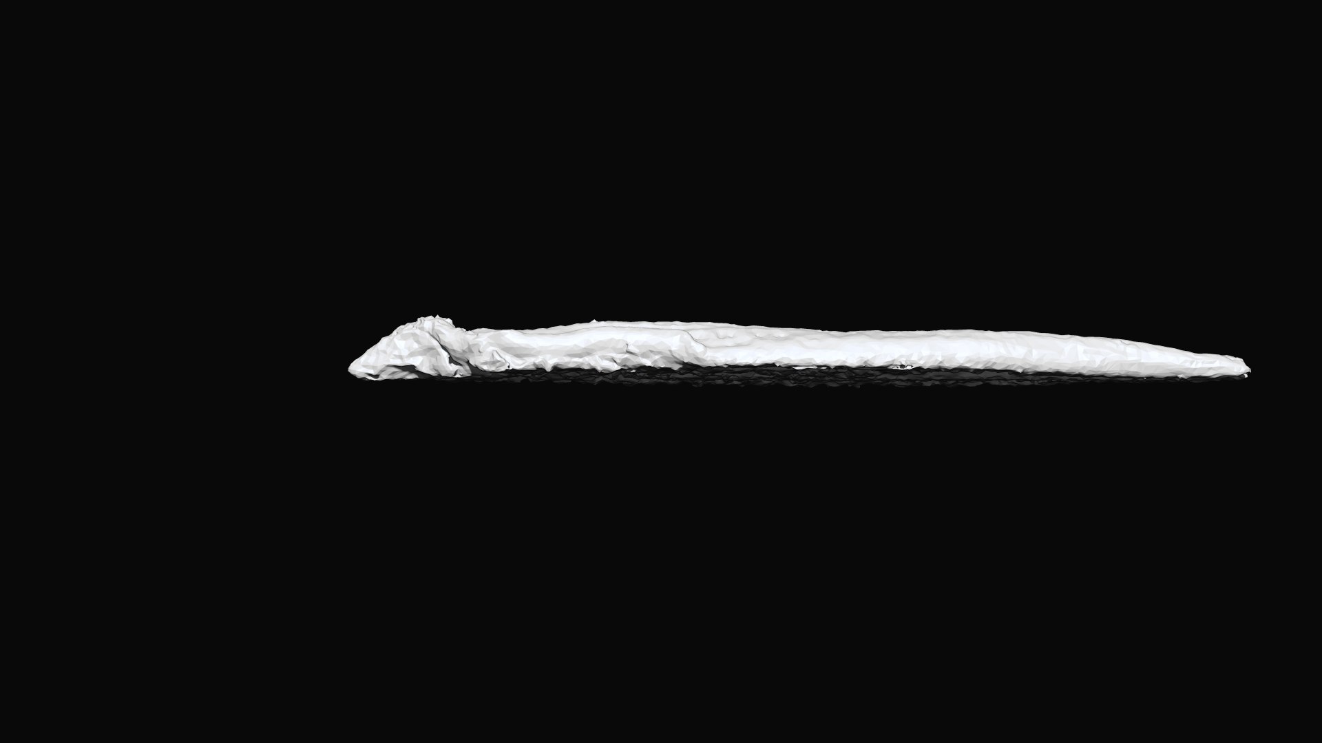 3D Grilled Eel 3D CT scan model decimate 8 percent model - TurboSquid ...