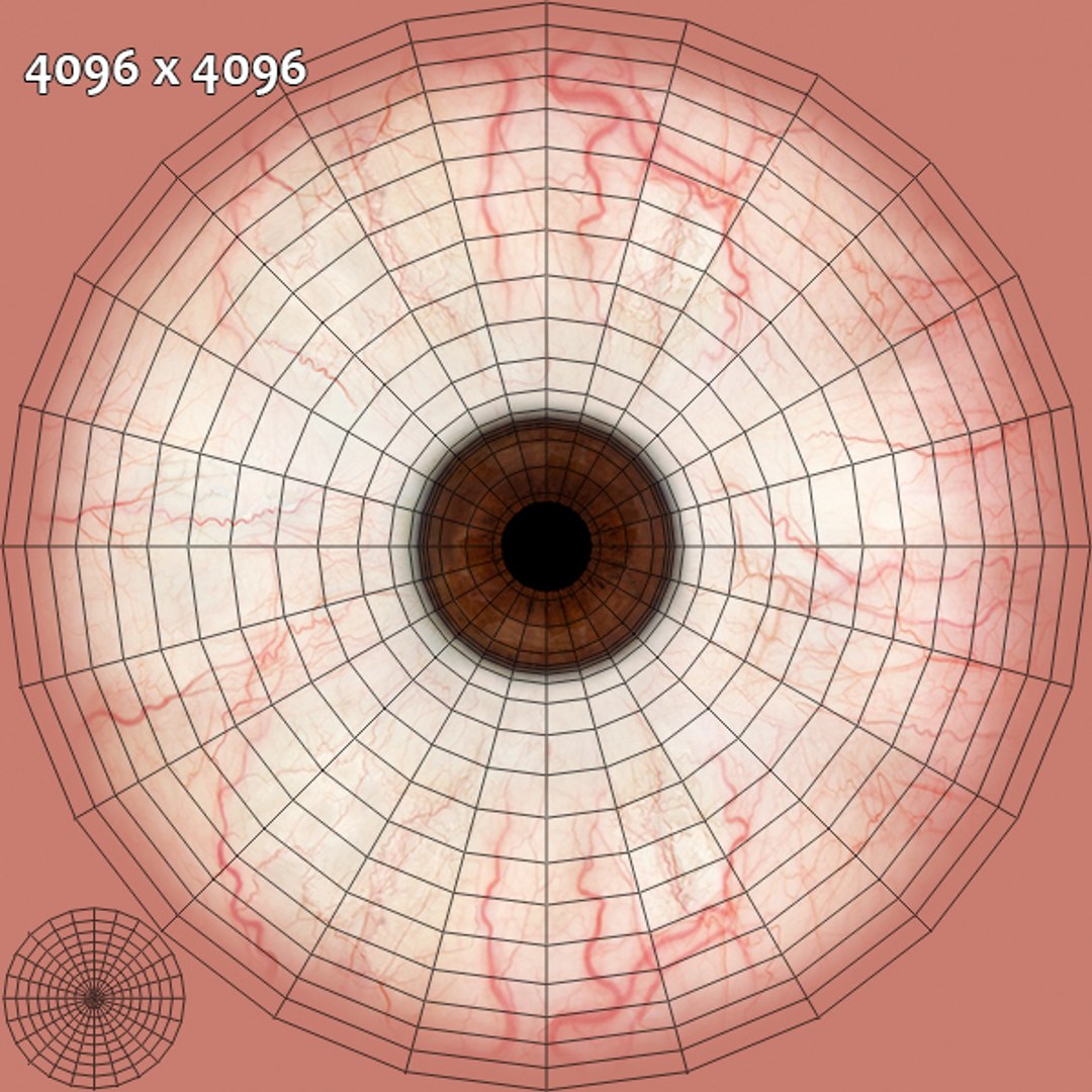3d max realistic human eye