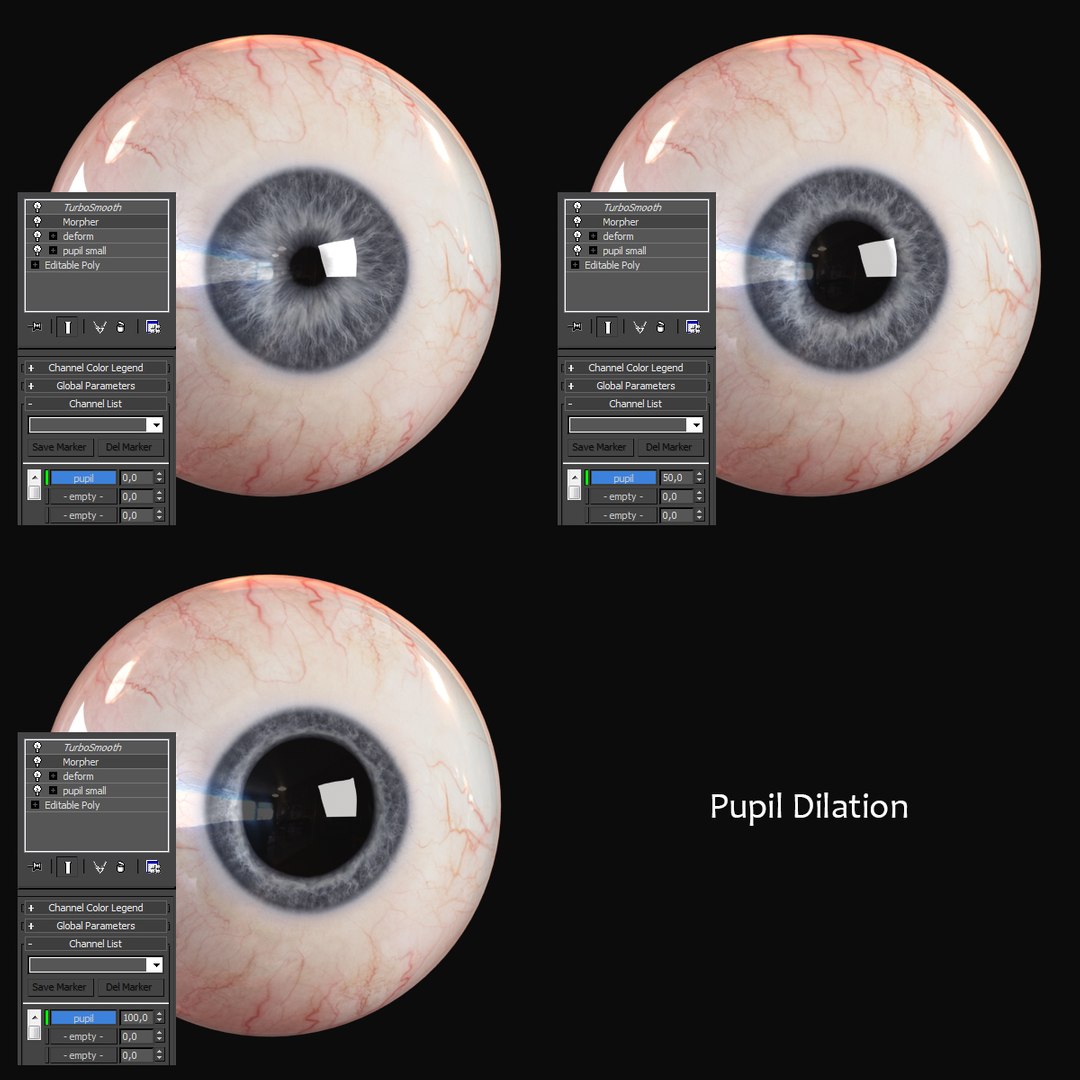 3d Max Realistic Human Eye