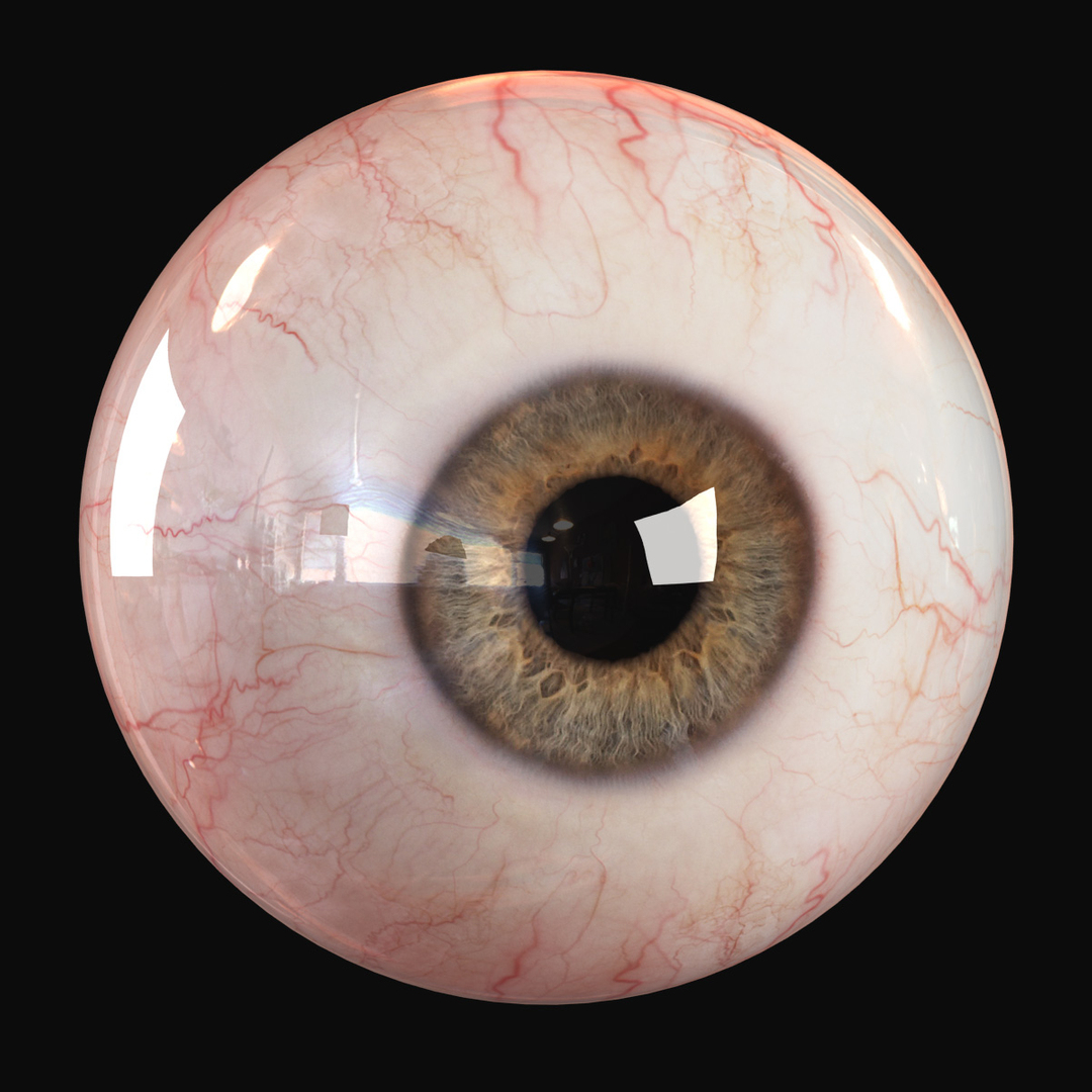3d Max Realistic Human Eye