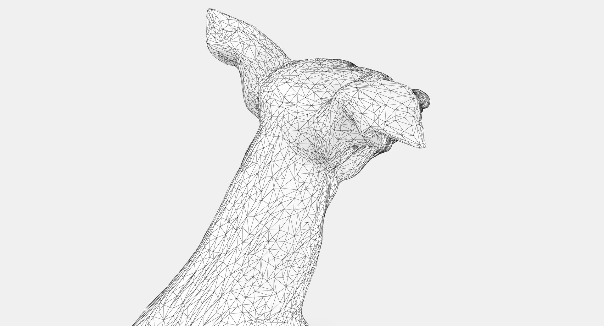 Dog whippet 3D model - TurboSquid 1322093