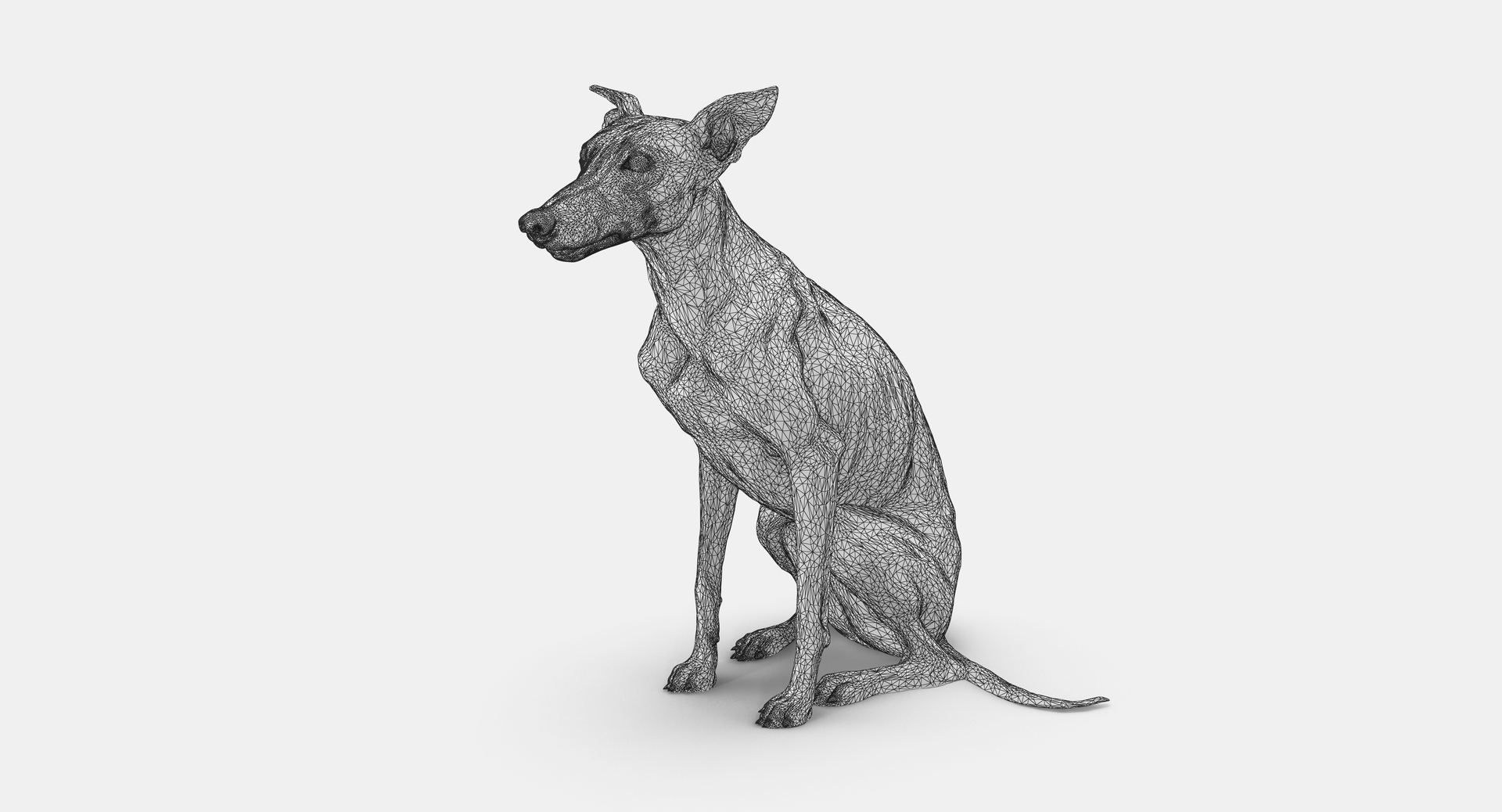 Dog whippet 3D model - TurboSquid 1322093