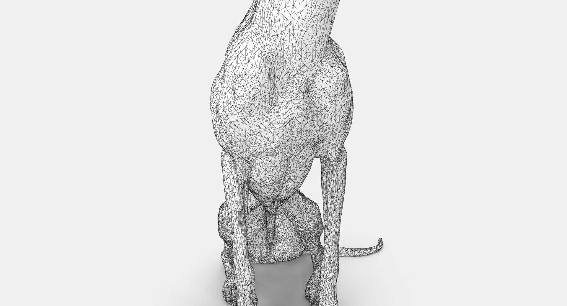 Dog whippet 3D model - TurboSquid 1322093