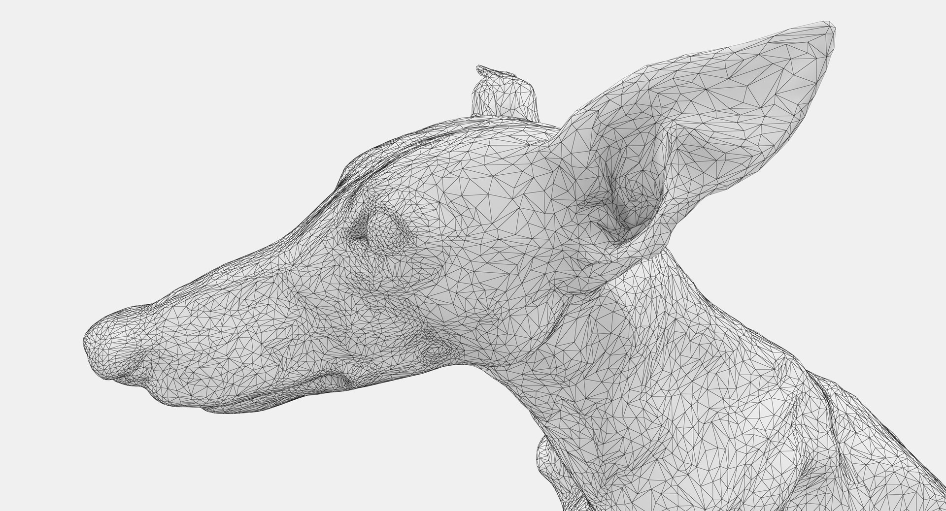 Dog whippet 3D model - TurboSquid 1322093