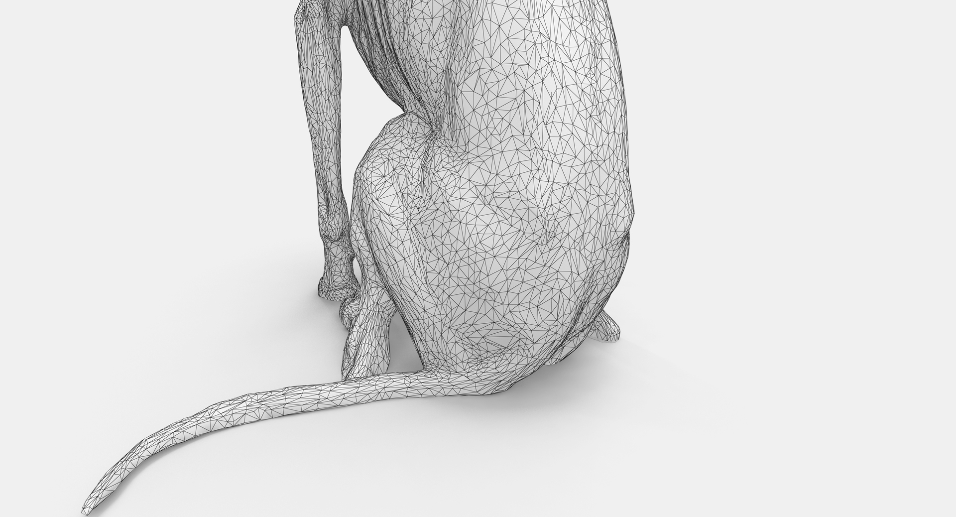 Dog whippet 3D model - TurboSquid 1322093