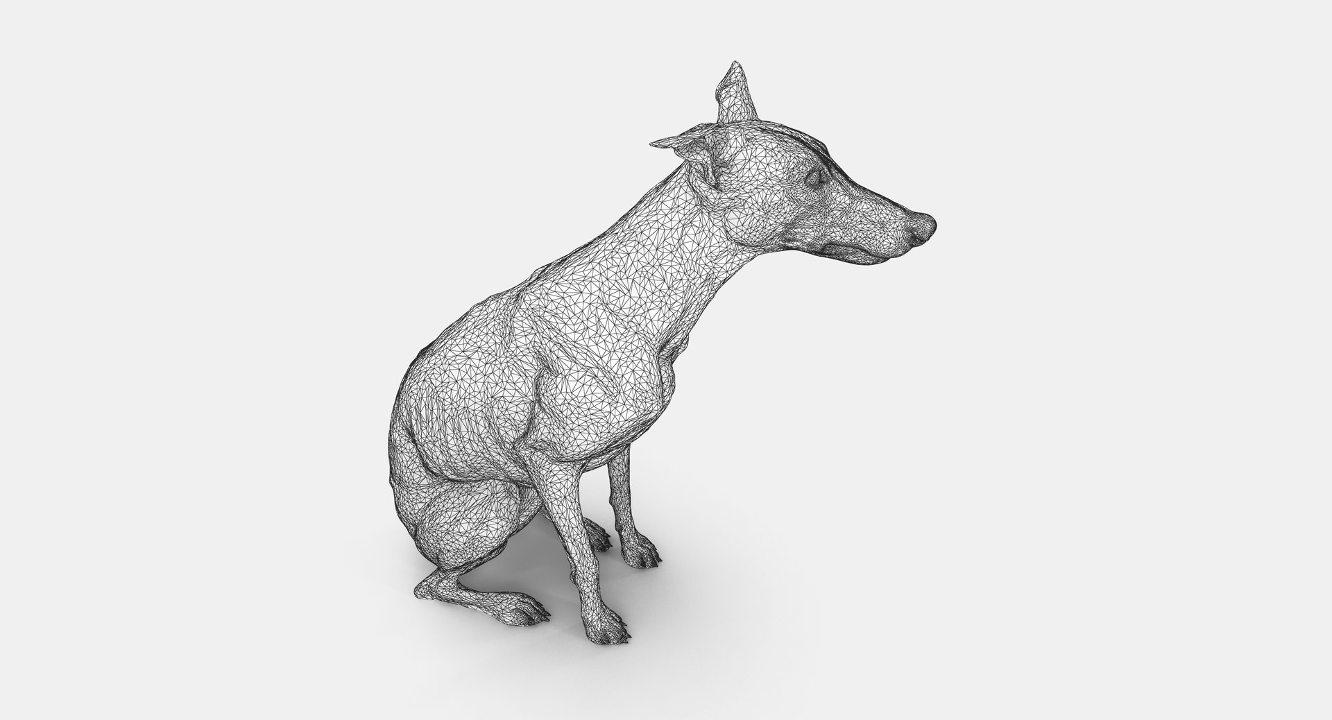 Dog whippet 3D model - TurboSquid 1322093